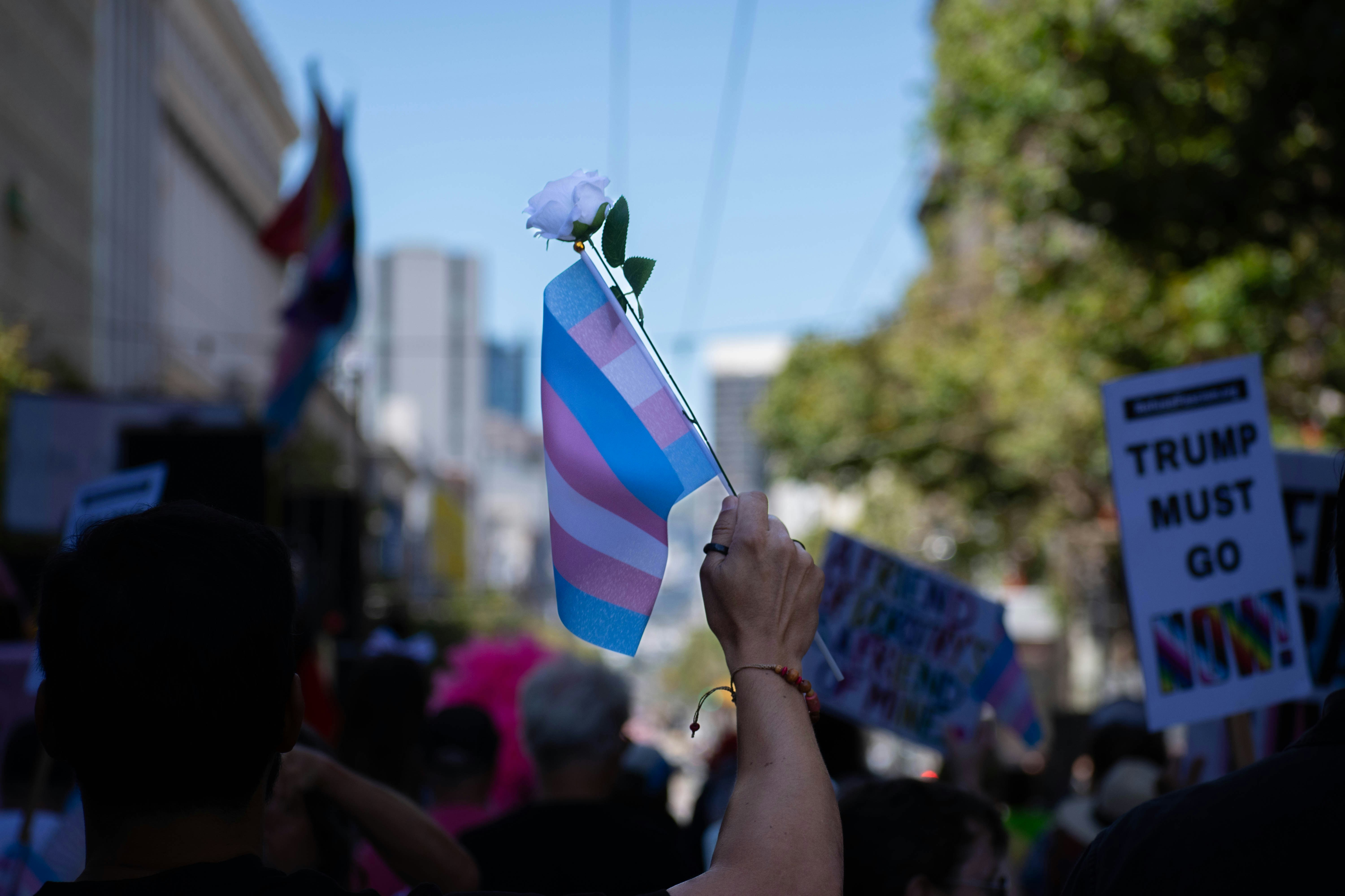 Raising a Trans Flag in the Midst of a City Protest