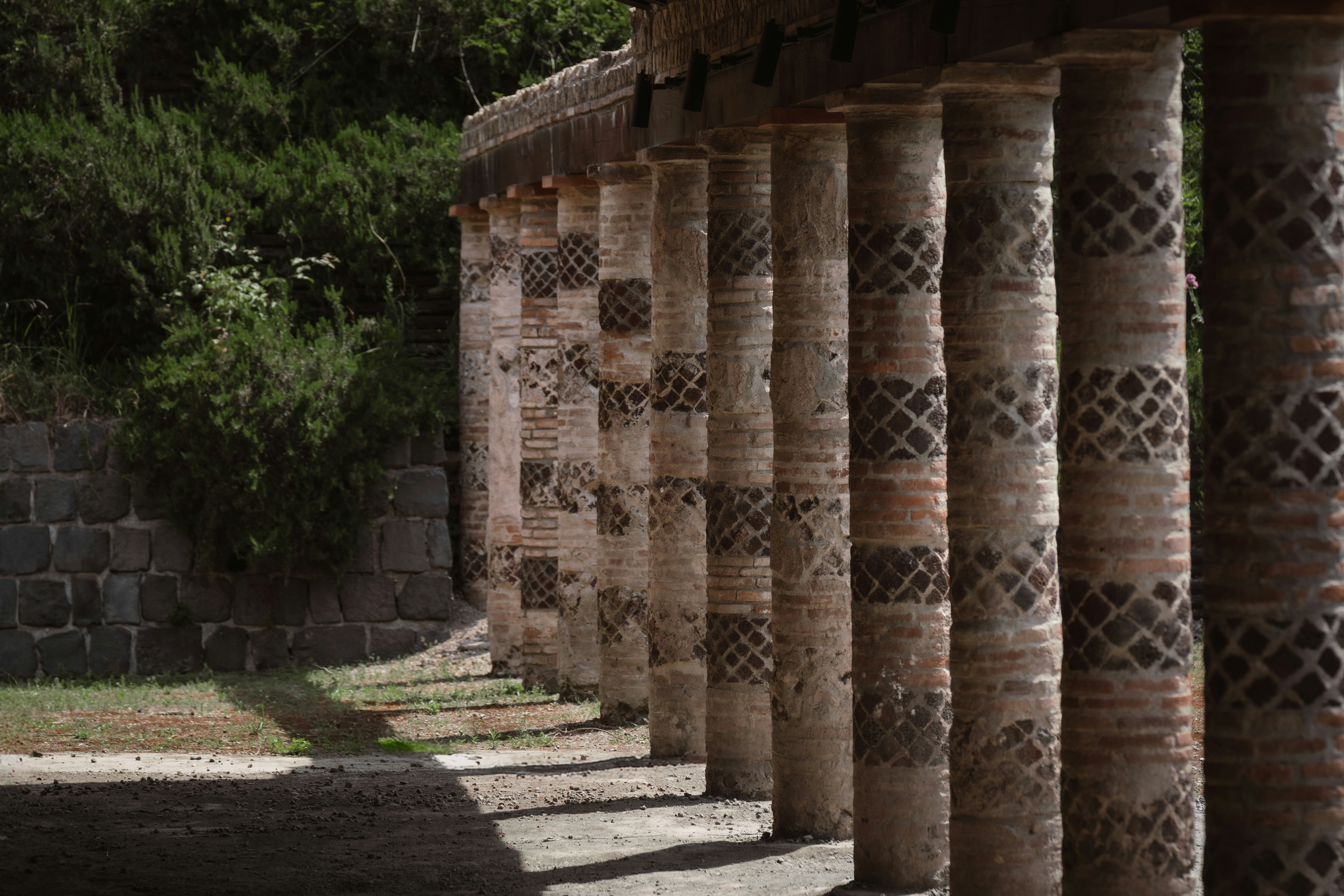 Row of Dappled Columns: Echoes of an Ancient Perimeter