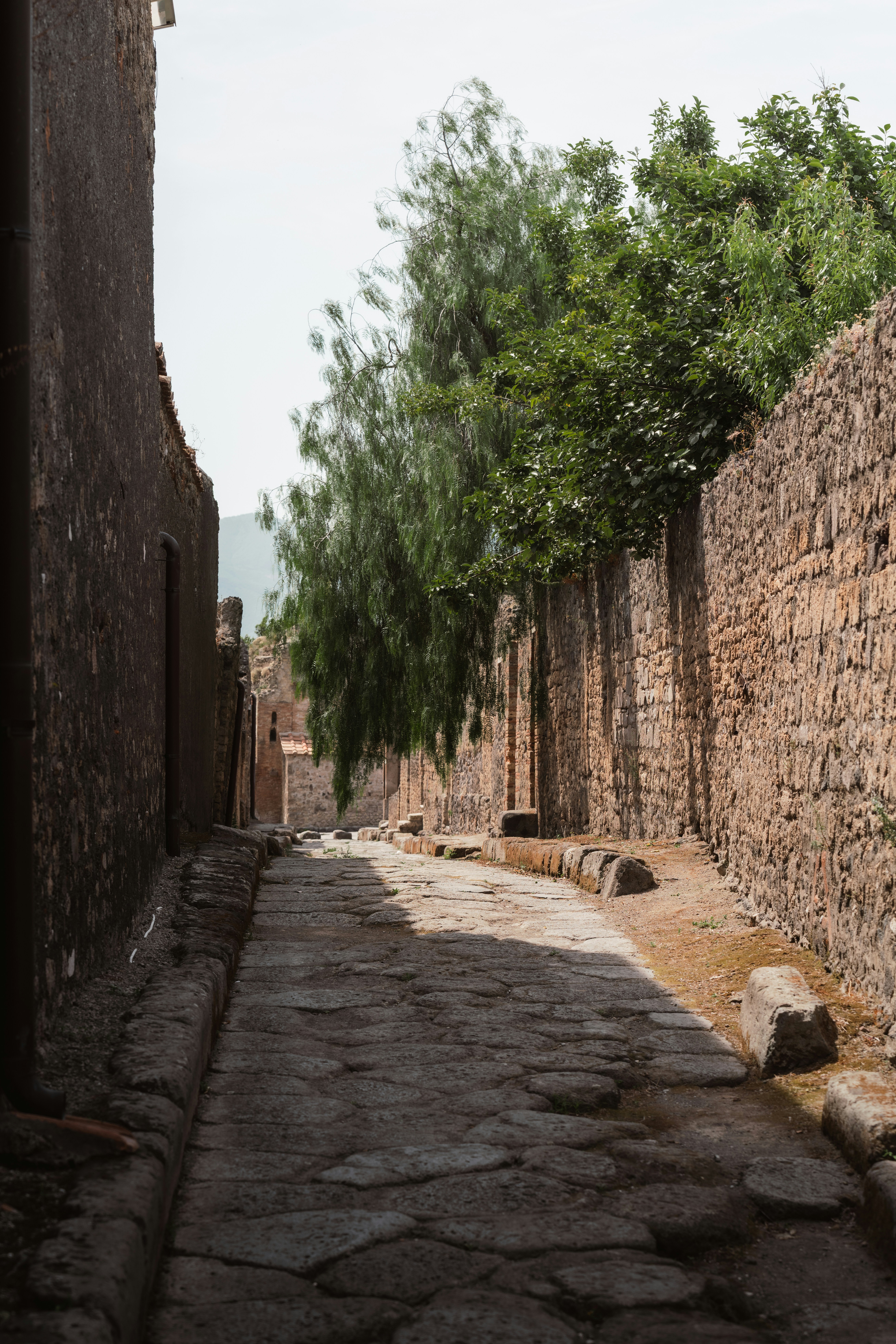 Sunlit Calle with ancient stone walls