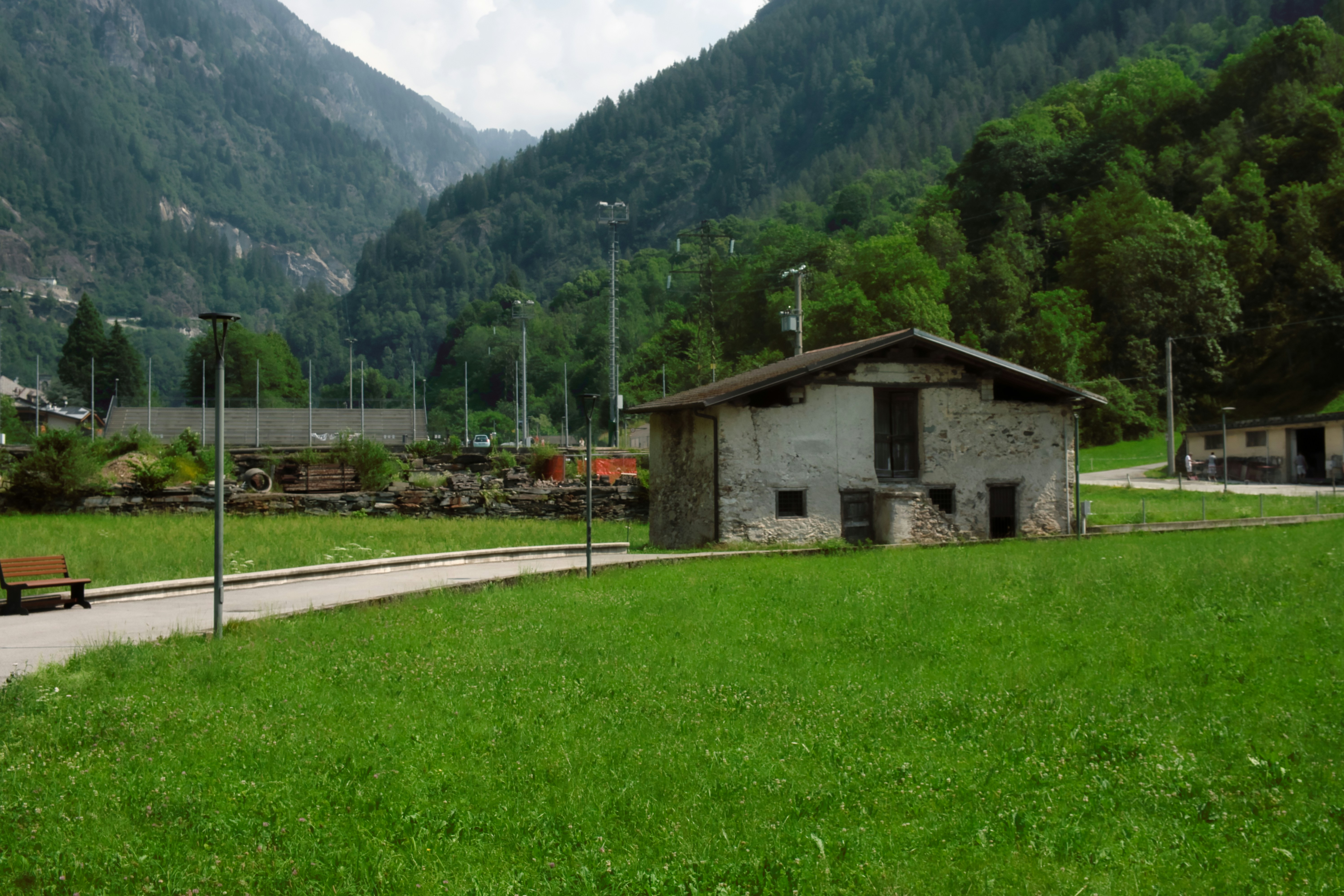 A Quiet Farmstead Framed by Mountain Pines