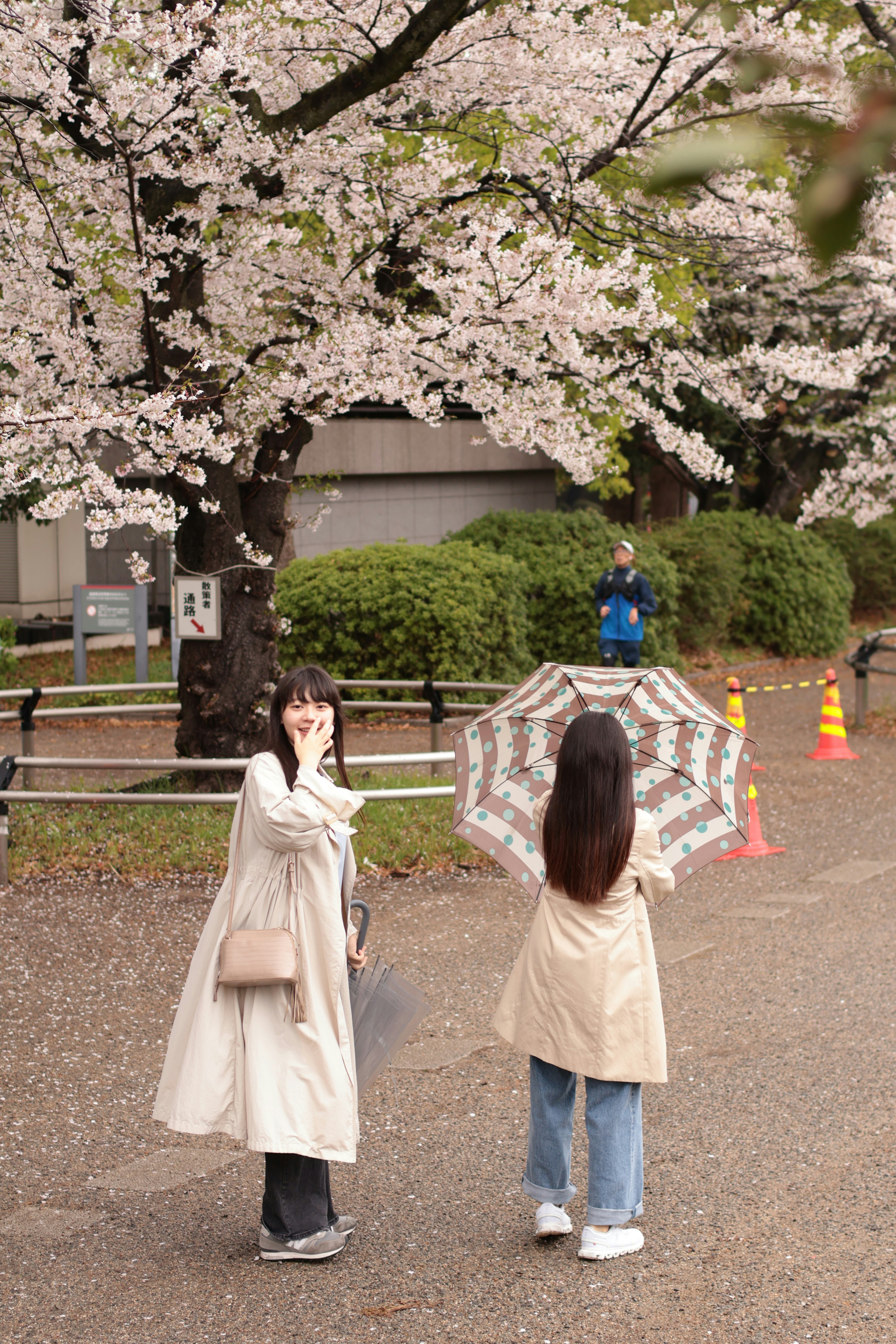 Two Women Under Cherry Blossoms: Casual Moment in a Park