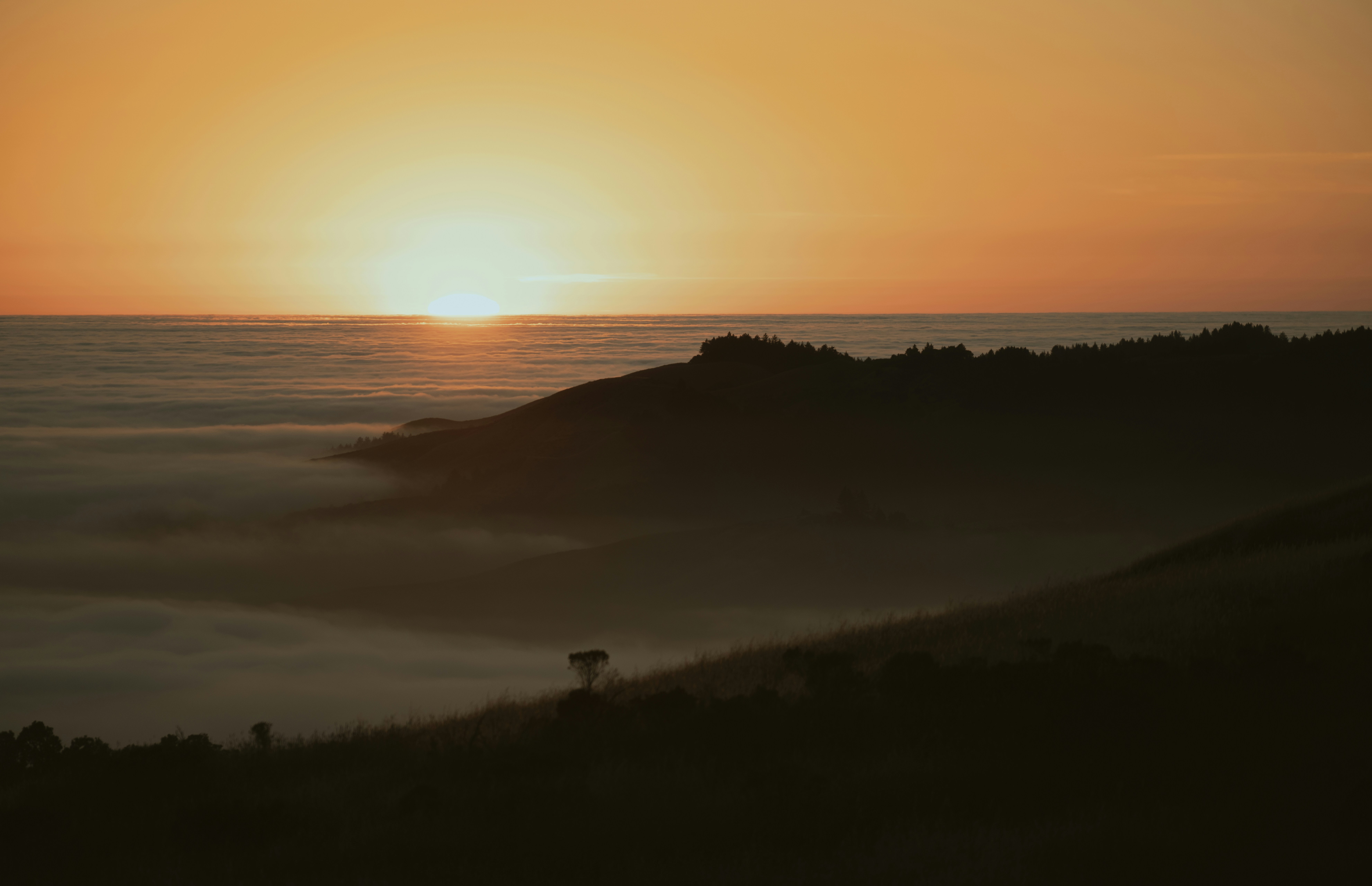 Sunset Over Silent Dunes: A Bold Horizon