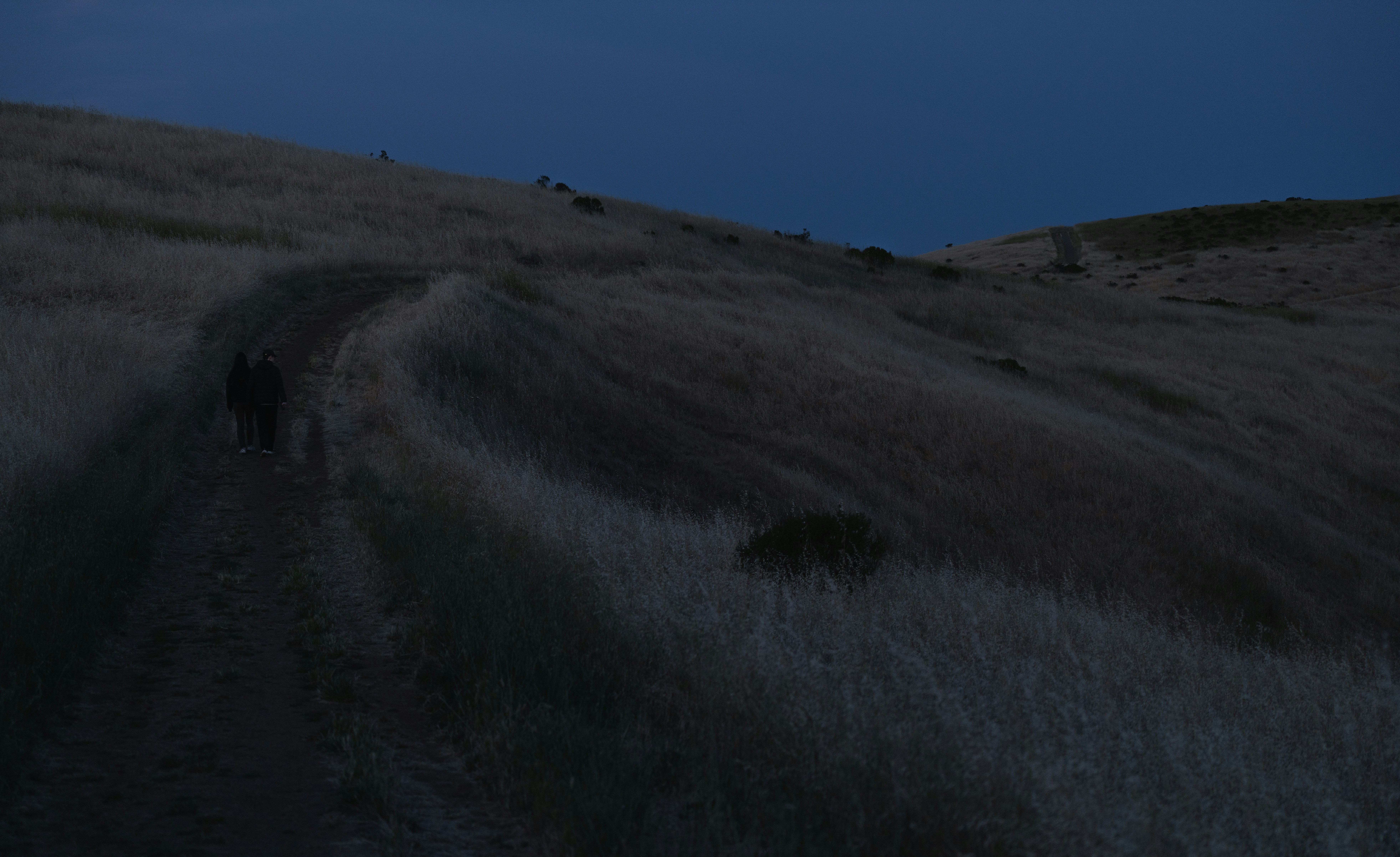 Dusk Rural Path: A Lone Rider Descends the Shaded Hill Road