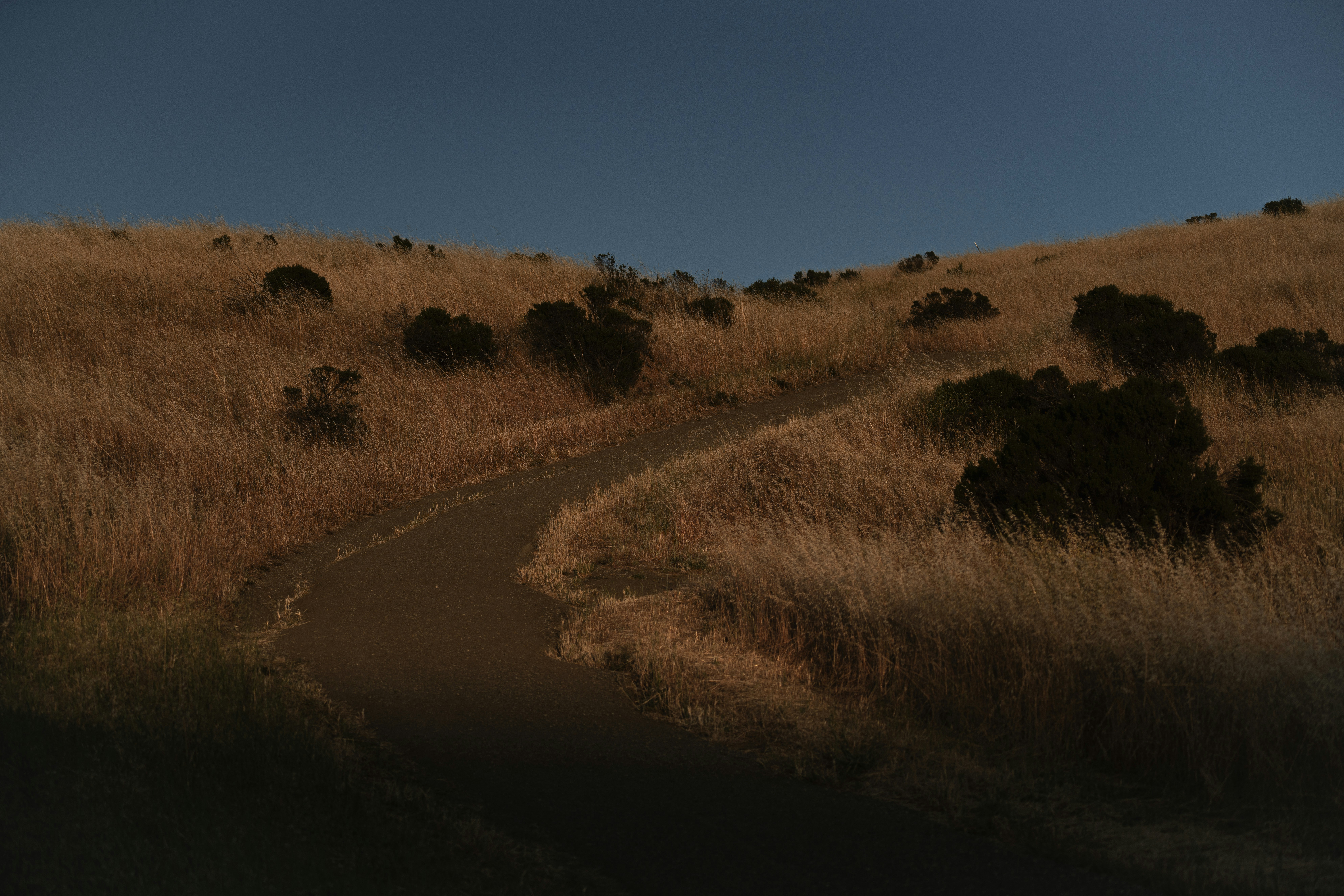 Trail through sunlit hillscape under a clear blue sky