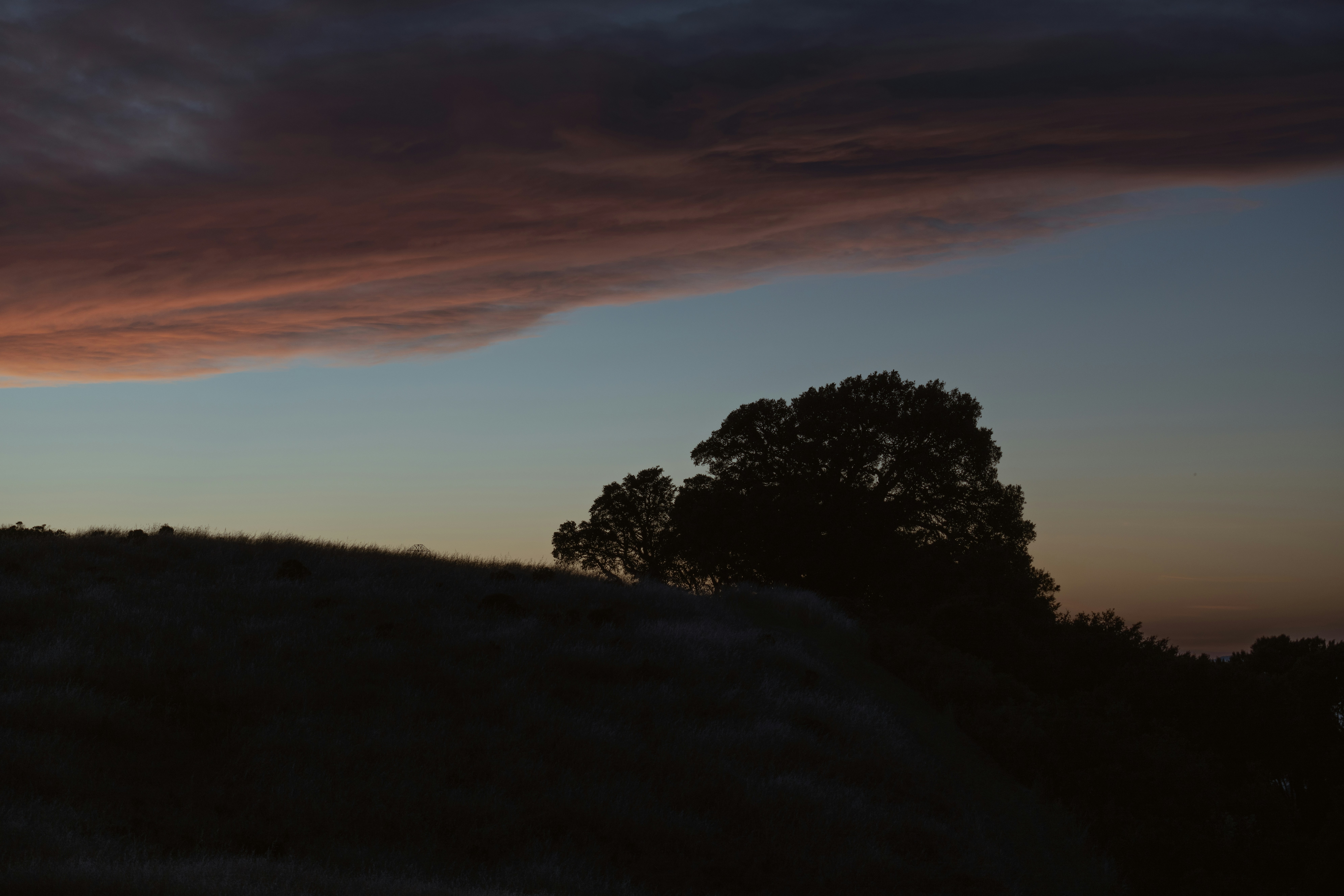 Silhouette at Dusk: A Lone Tree Beneath a Velvet Sky