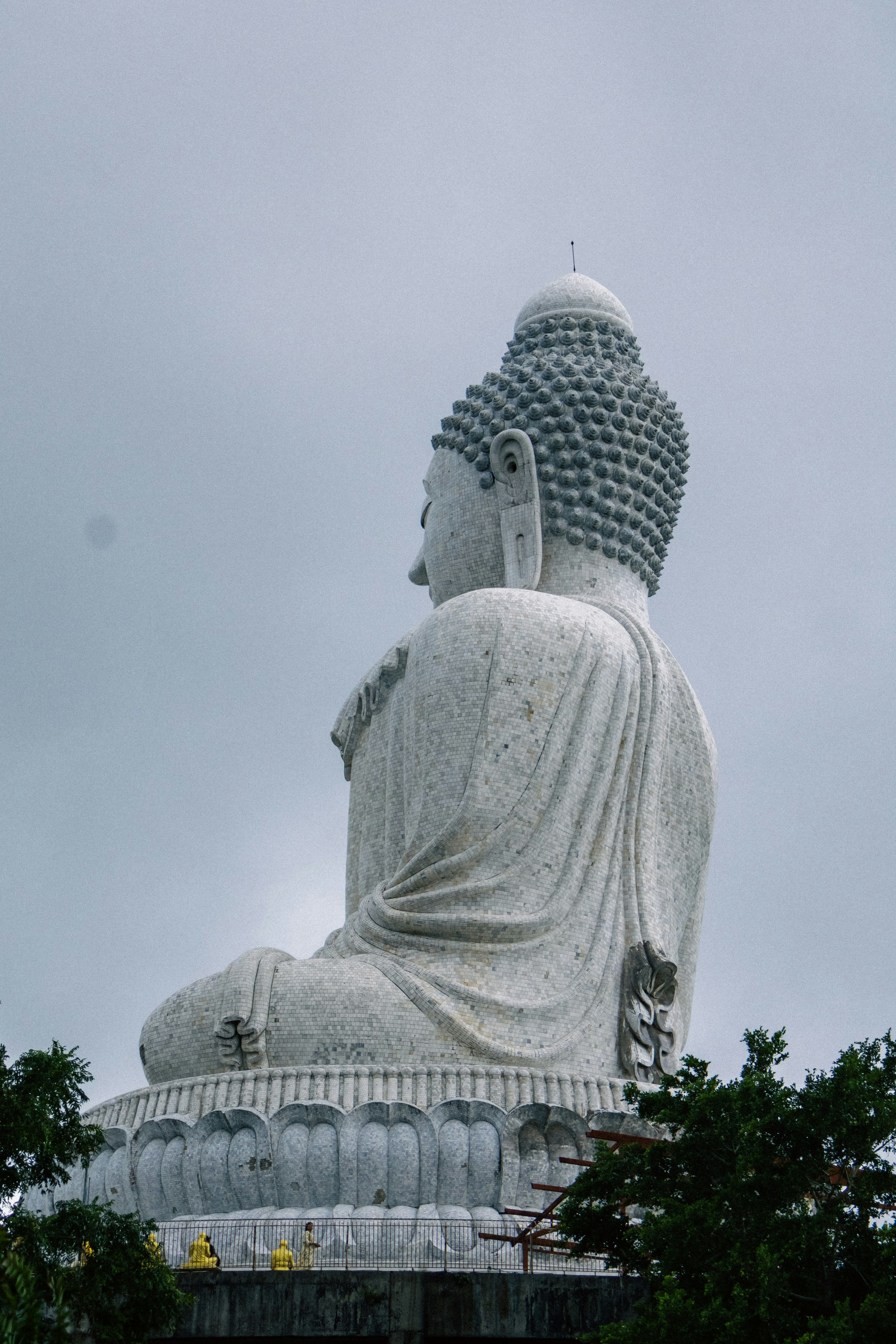 Serene Giant: A Side Profile of the Buddhas’ Contemplation
