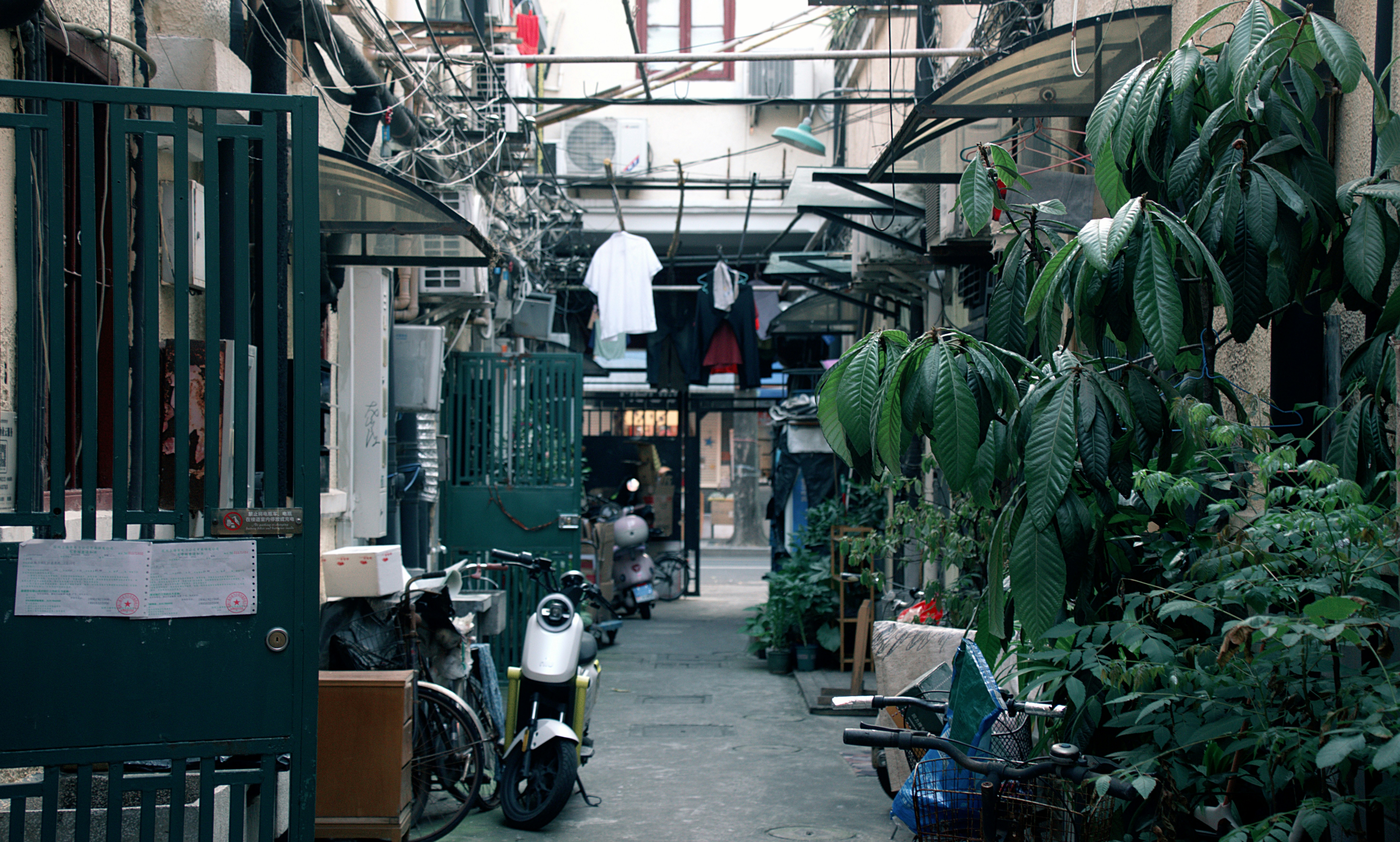 Narrow Alleyway Curtain Call