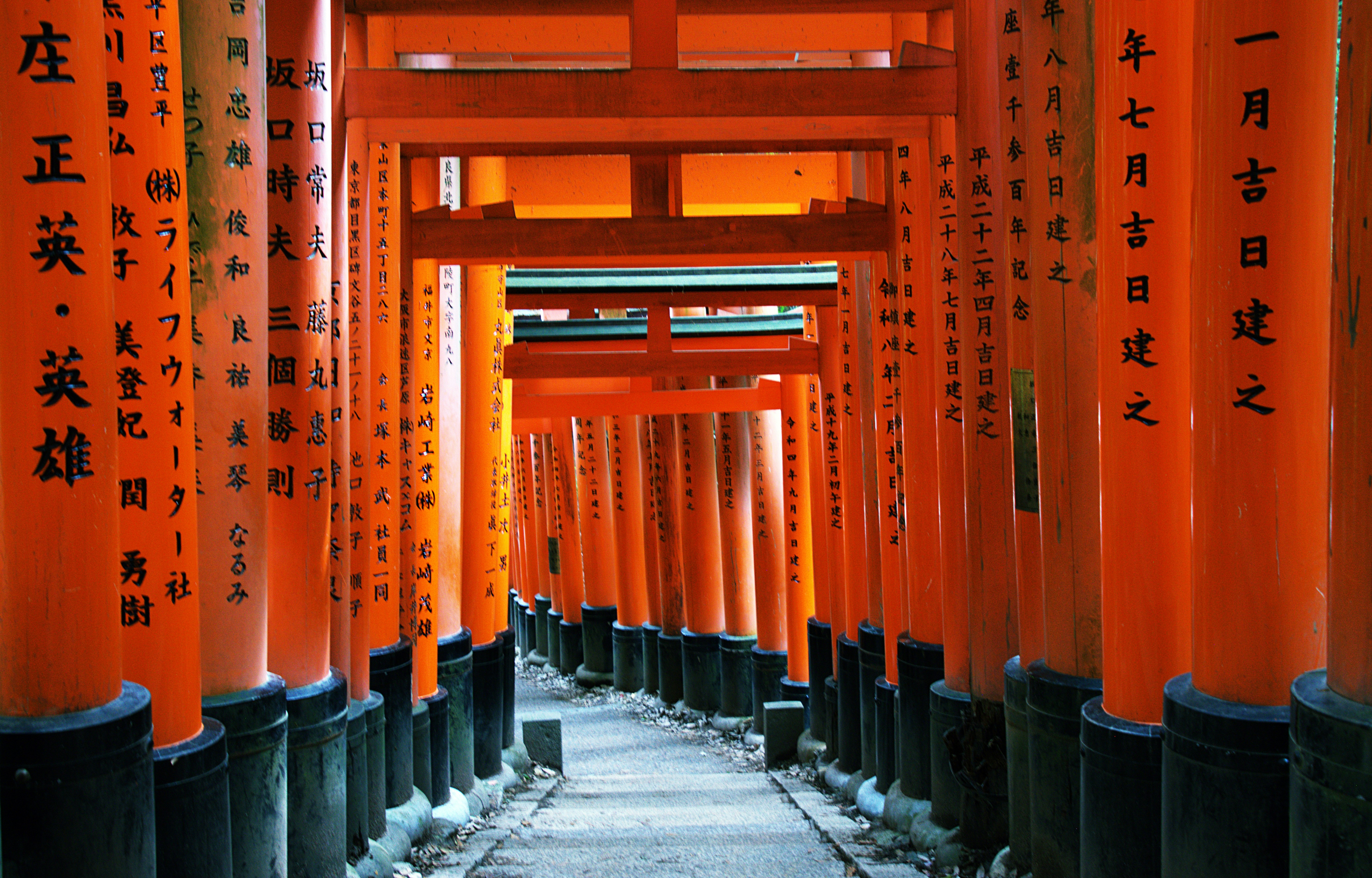 Red Corridor of Faith: A Way Through the Torii