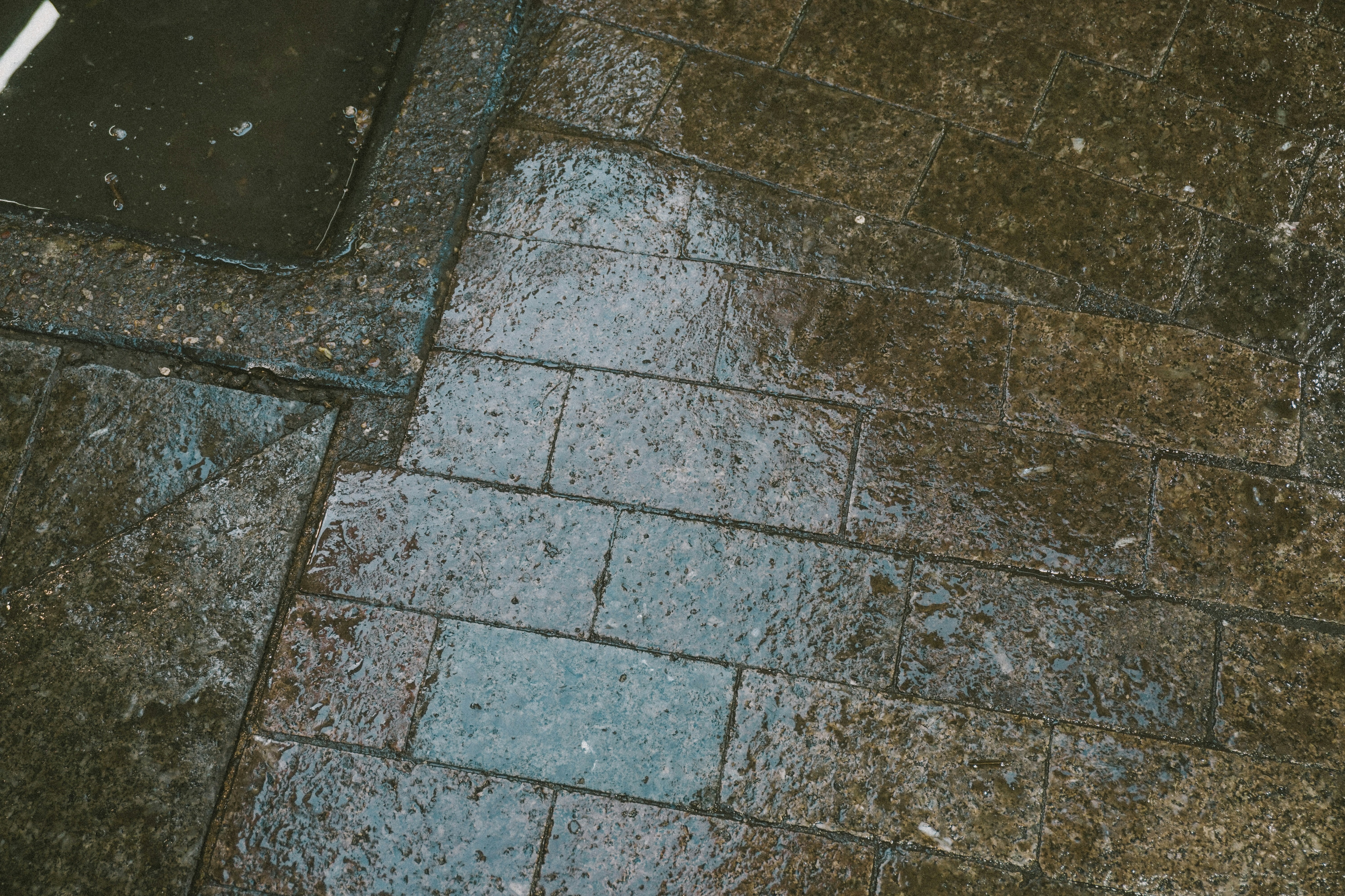 Weathered Paving: Subtle Texture Across Rain-Sheened Tiles