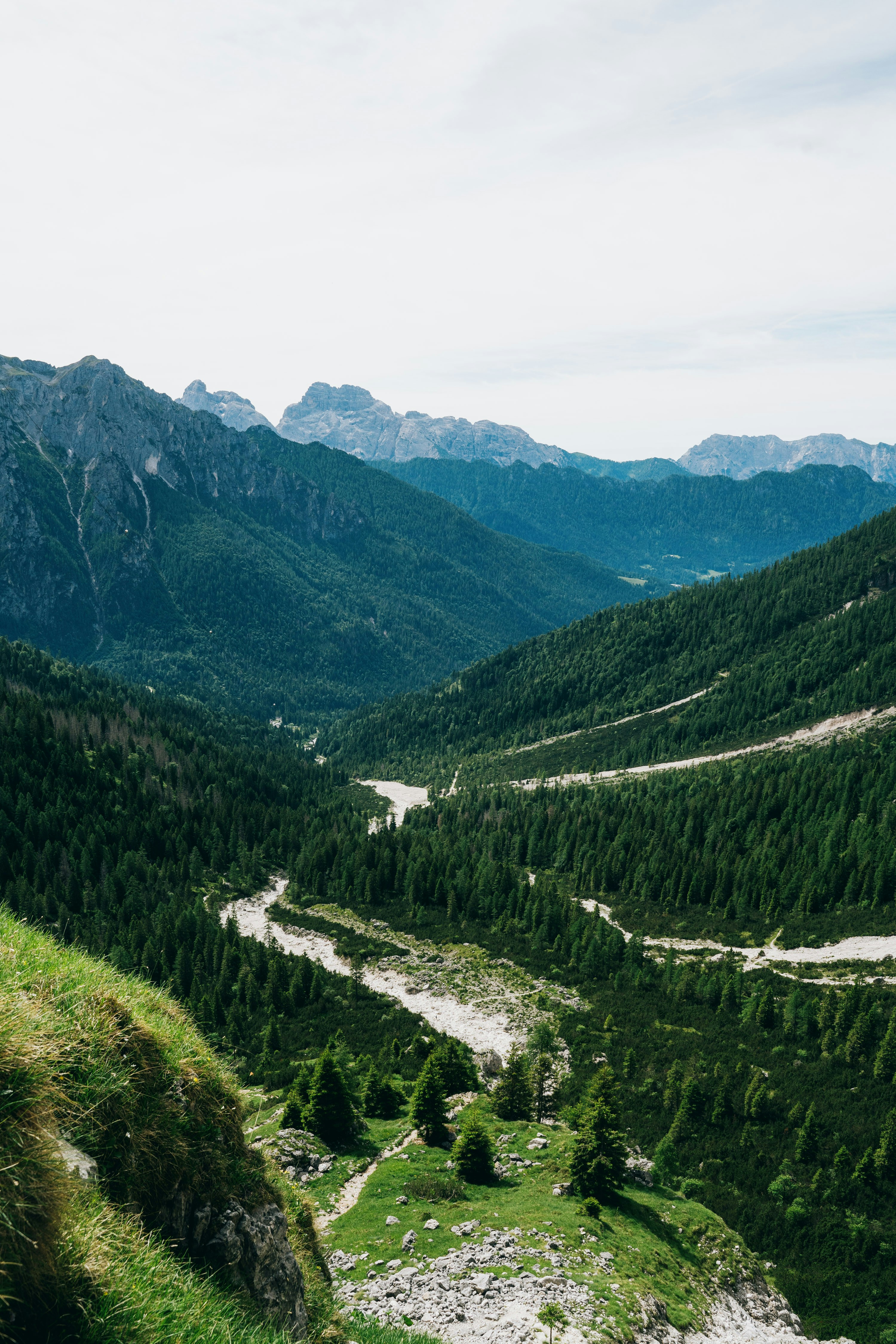 Rugged alpine valley with a winding stream cutting through dense pine forests under a clear sky. A natural landscape scene highlighting the terrain and distant mountains.