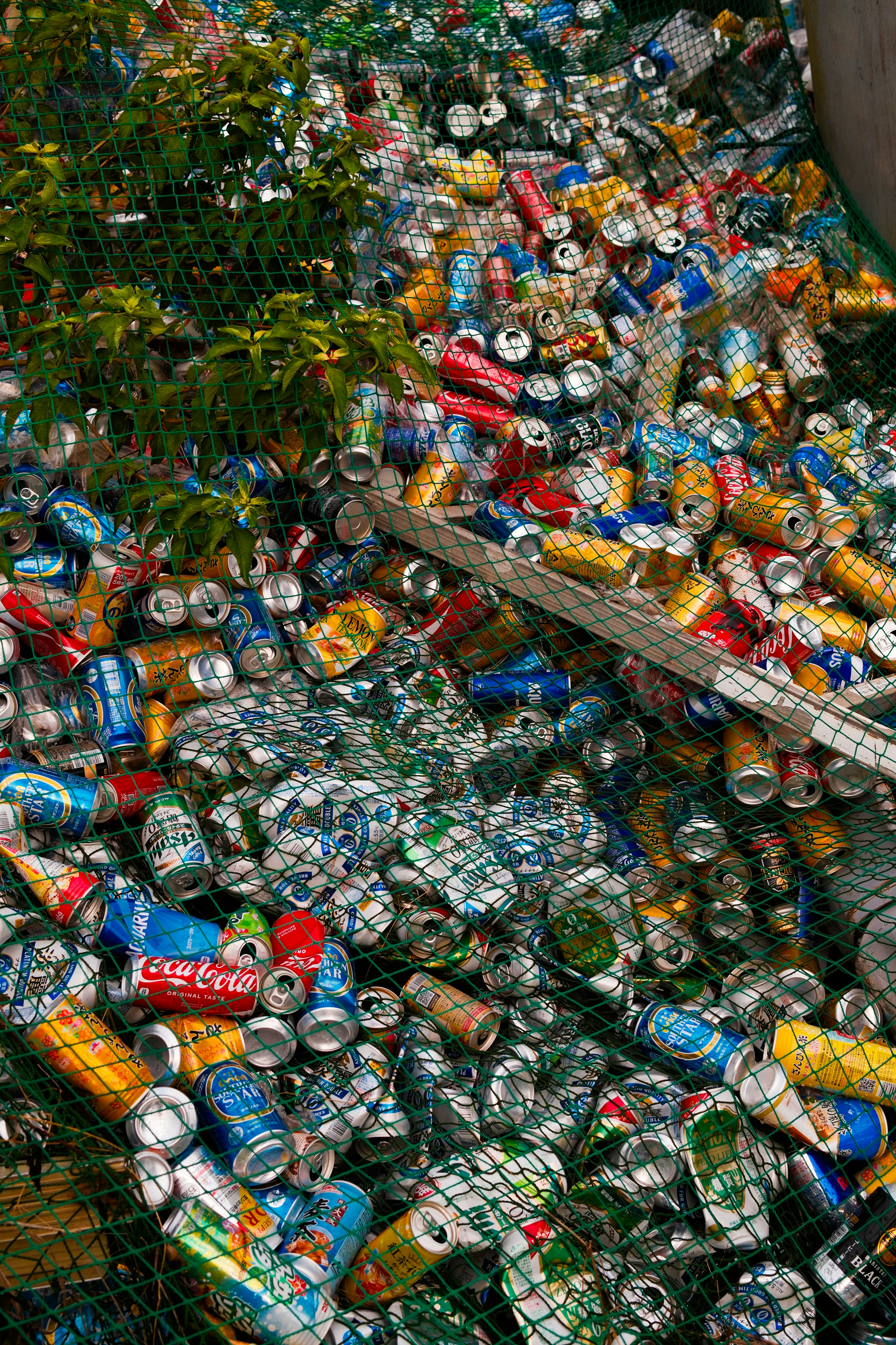 Tangled Canopy of Crushed Colors: A Mesh of Bottles and Cans