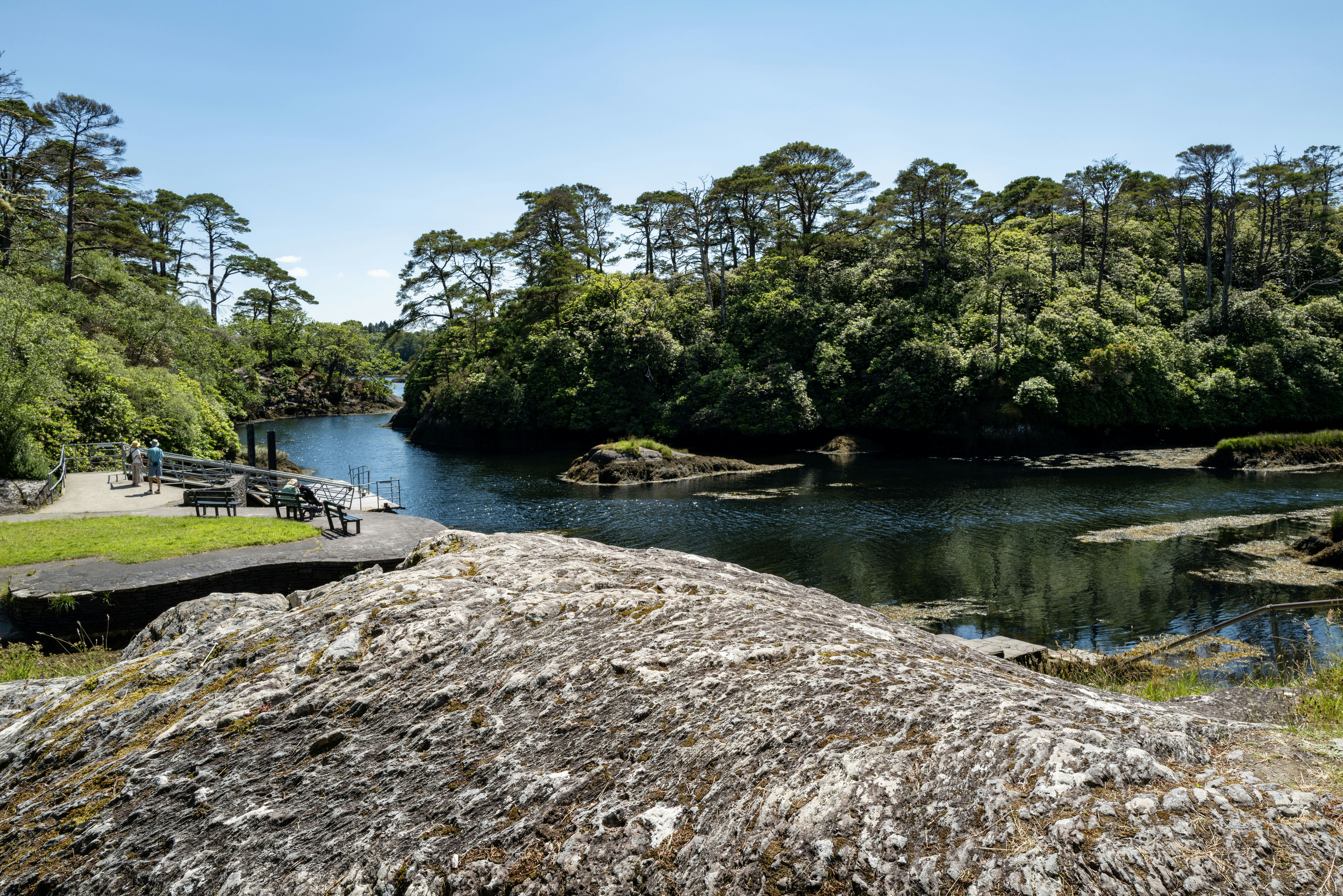 Shoreline Crossroads: A Quiet Stream Stretches Beyond a Weathered Rock