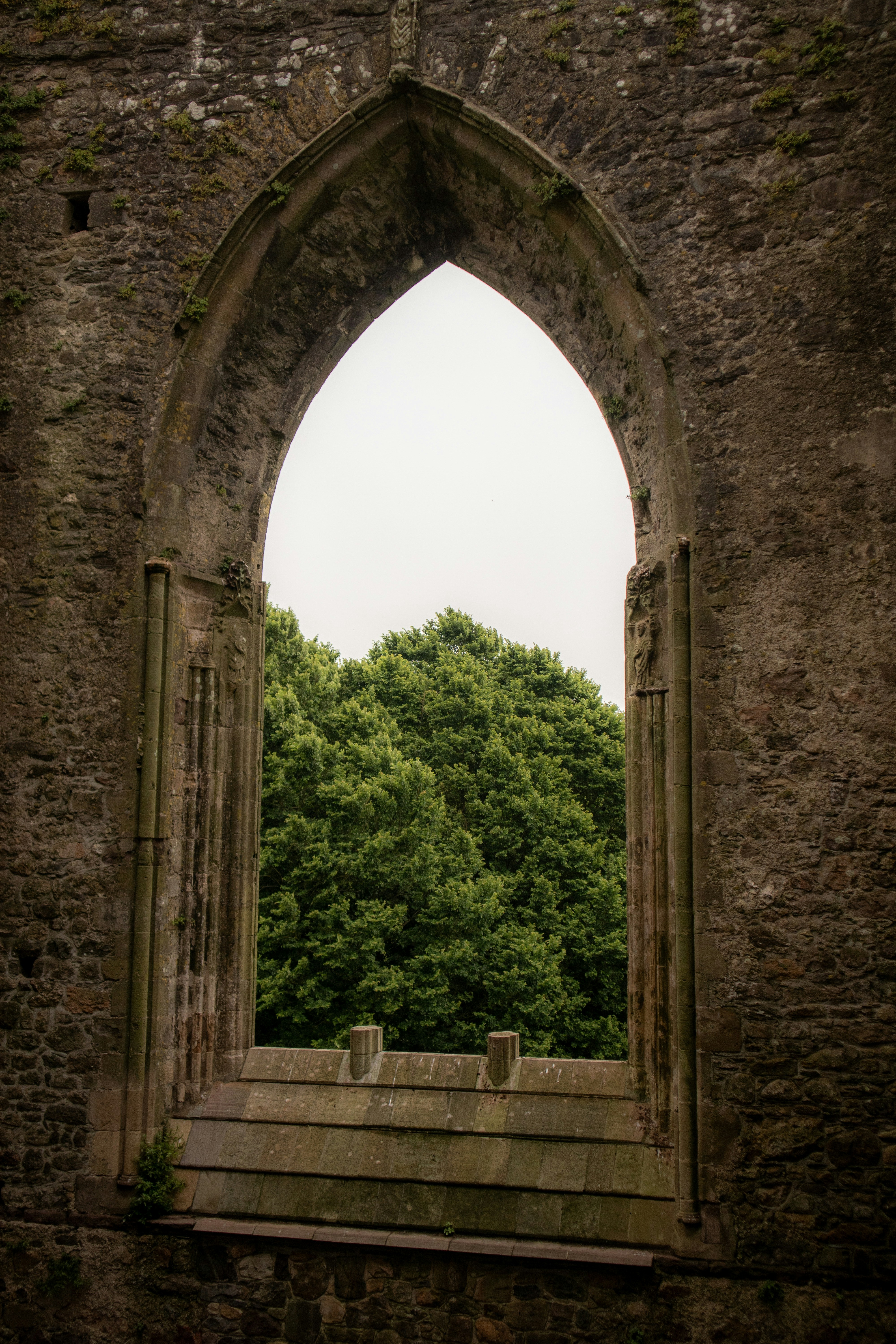 Through the Archway to the Quiet Grove