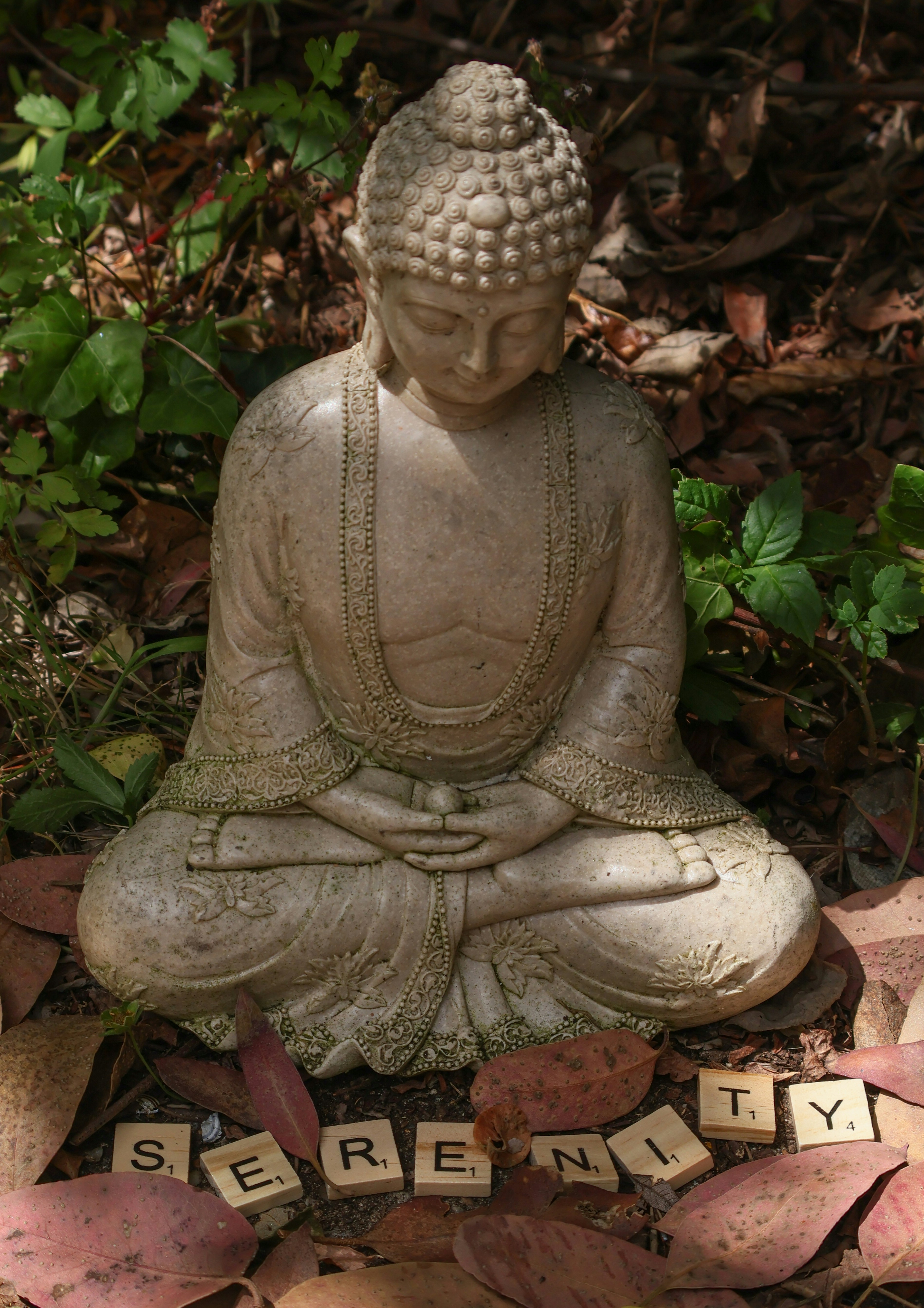 Meditative Stones: A Buddham in the Garden with Scrabble Clues