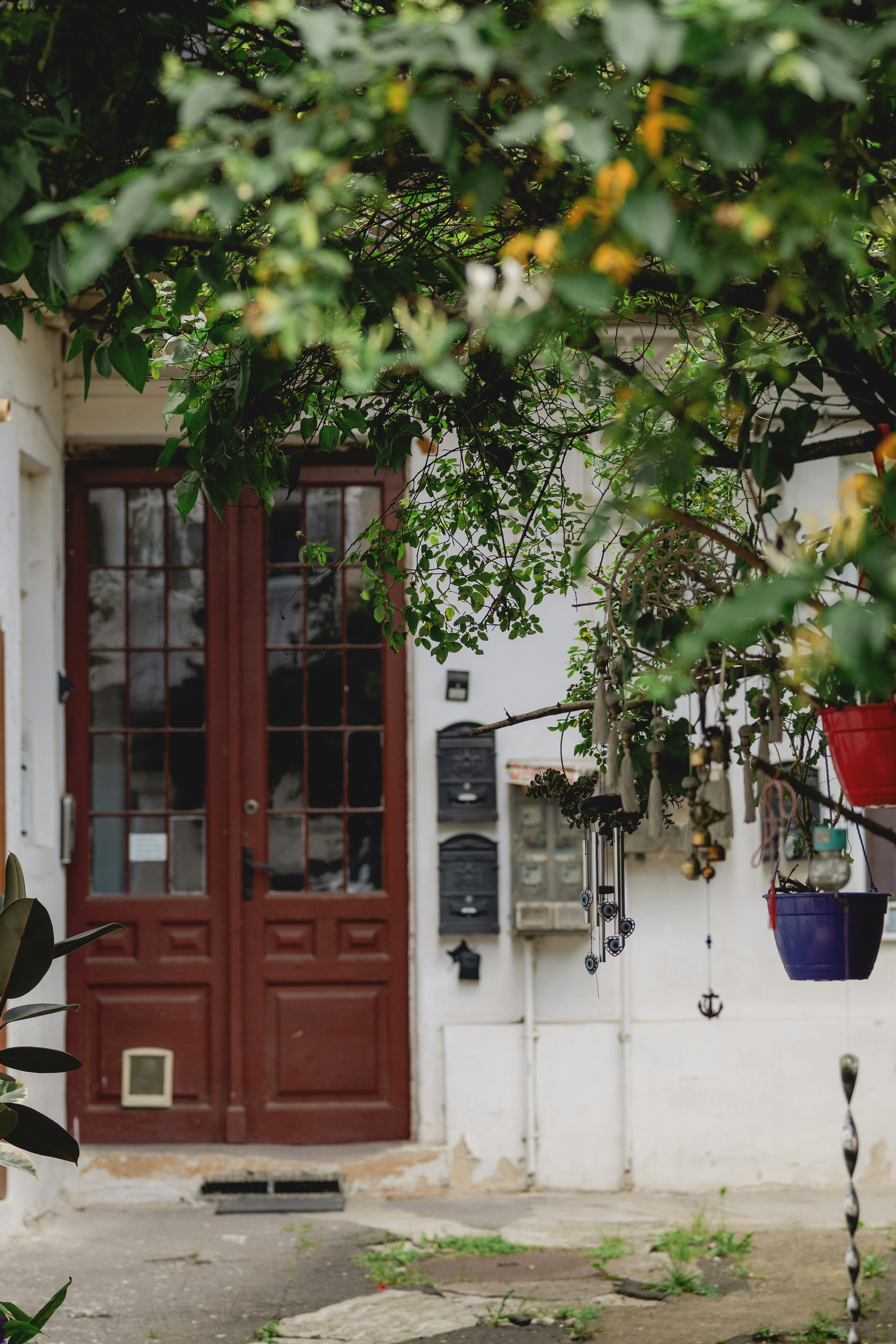A Quiet Courtyard Doorway Framed by Greenery