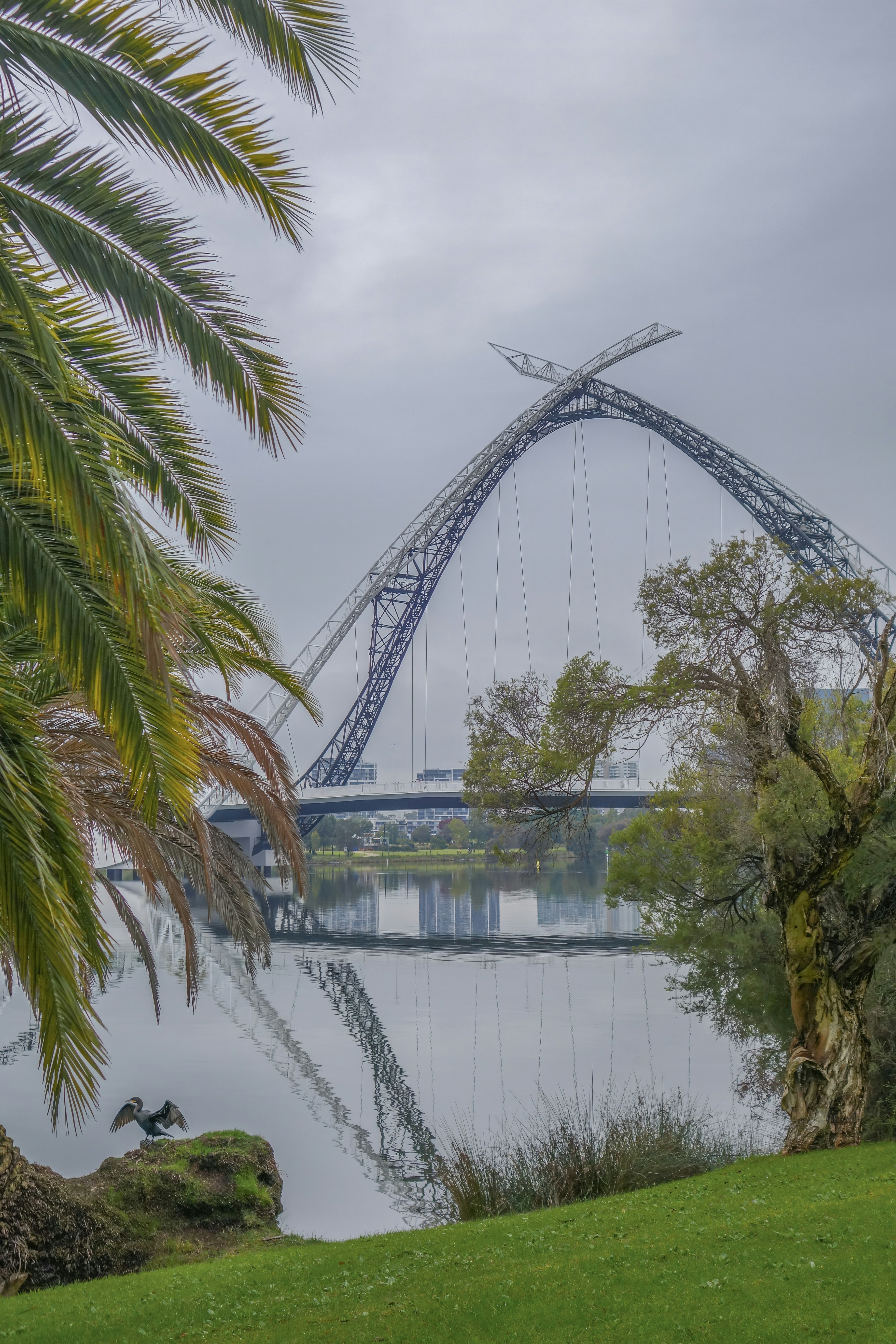 Palm Fronds Framing a Waterfront Arc