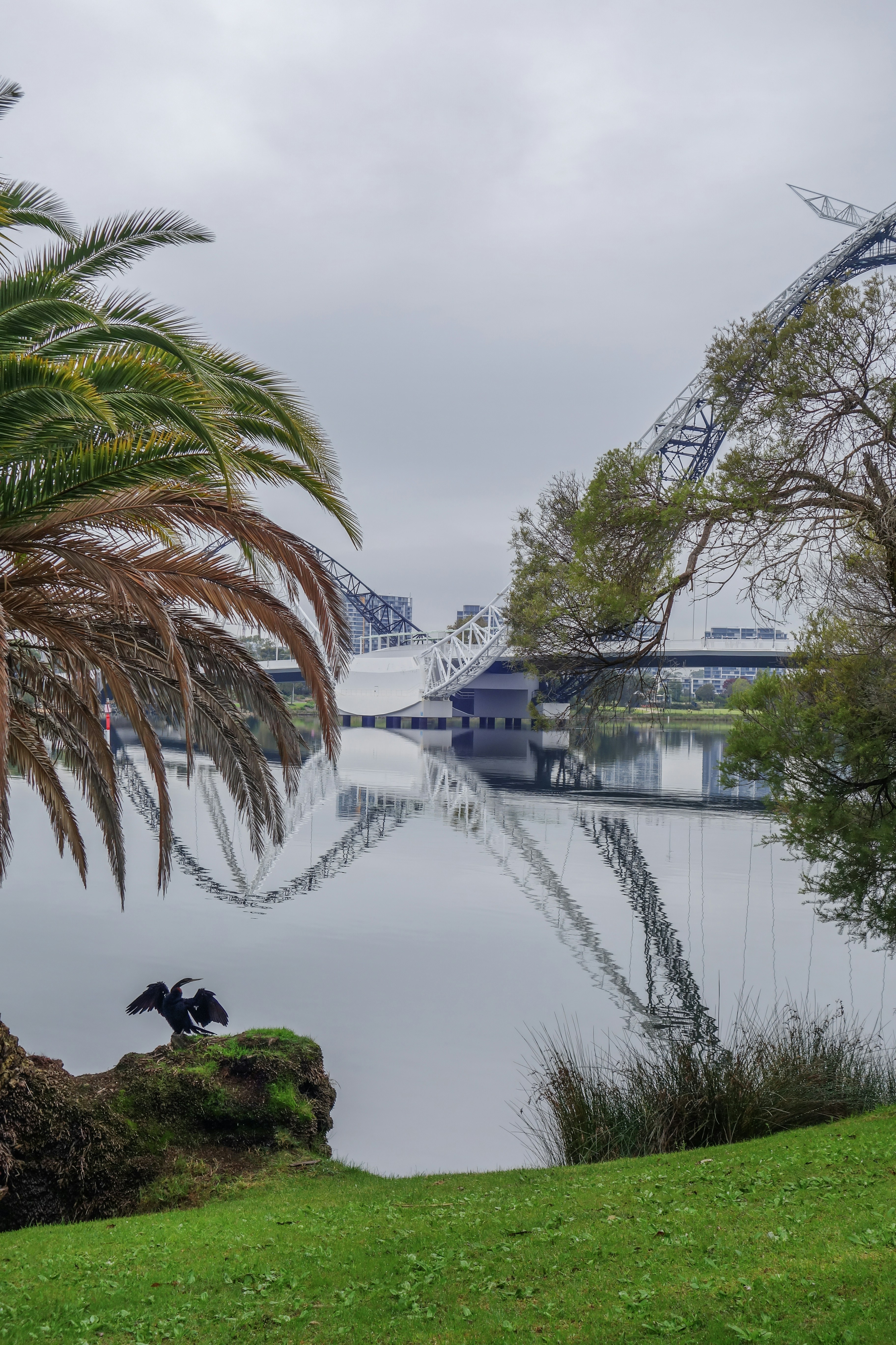 Reflections of a City Bridge Beyond Palm Fronds