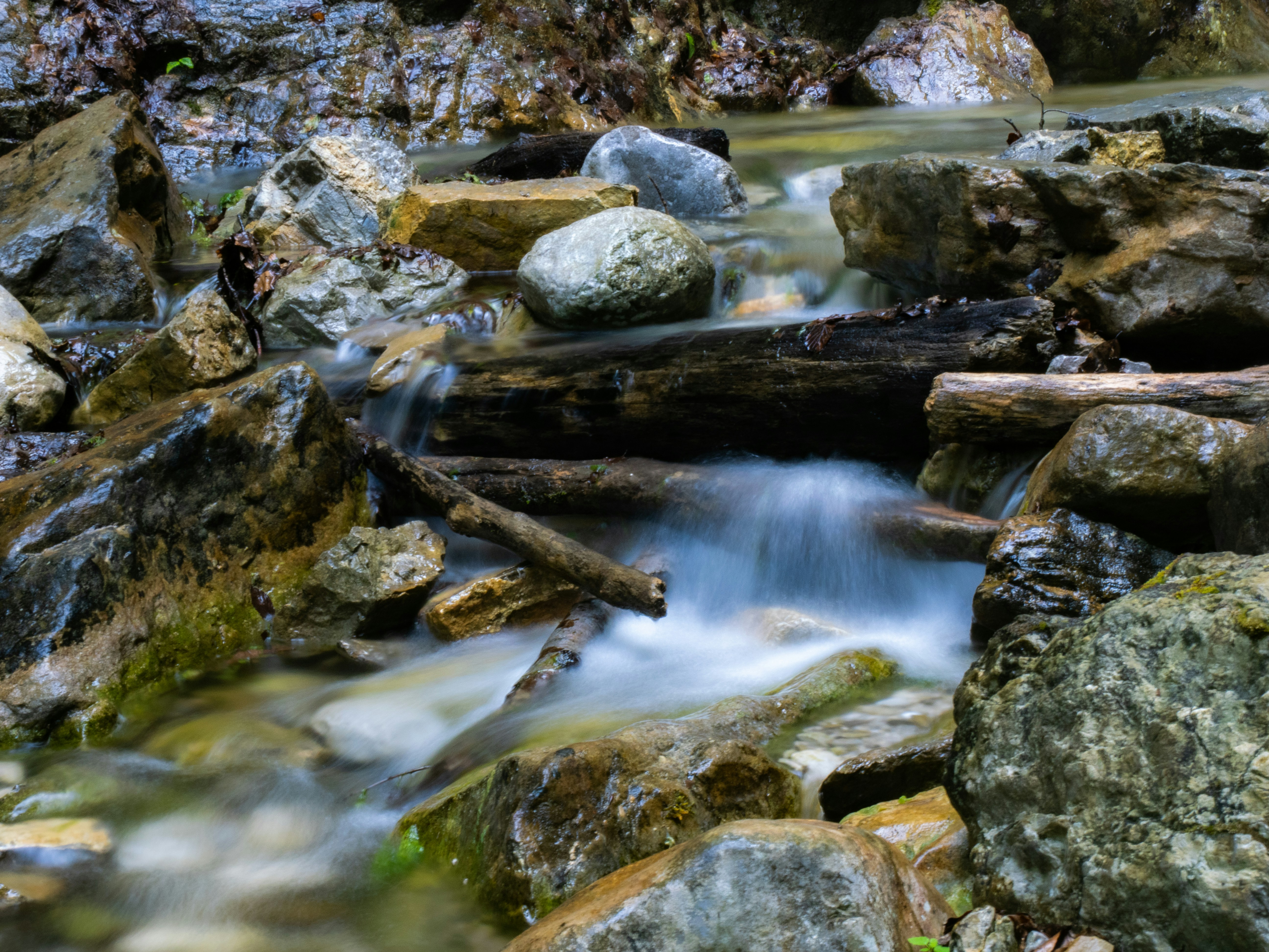Soothing Cascade: A Mossy Forest Stream Weaving Through Stones