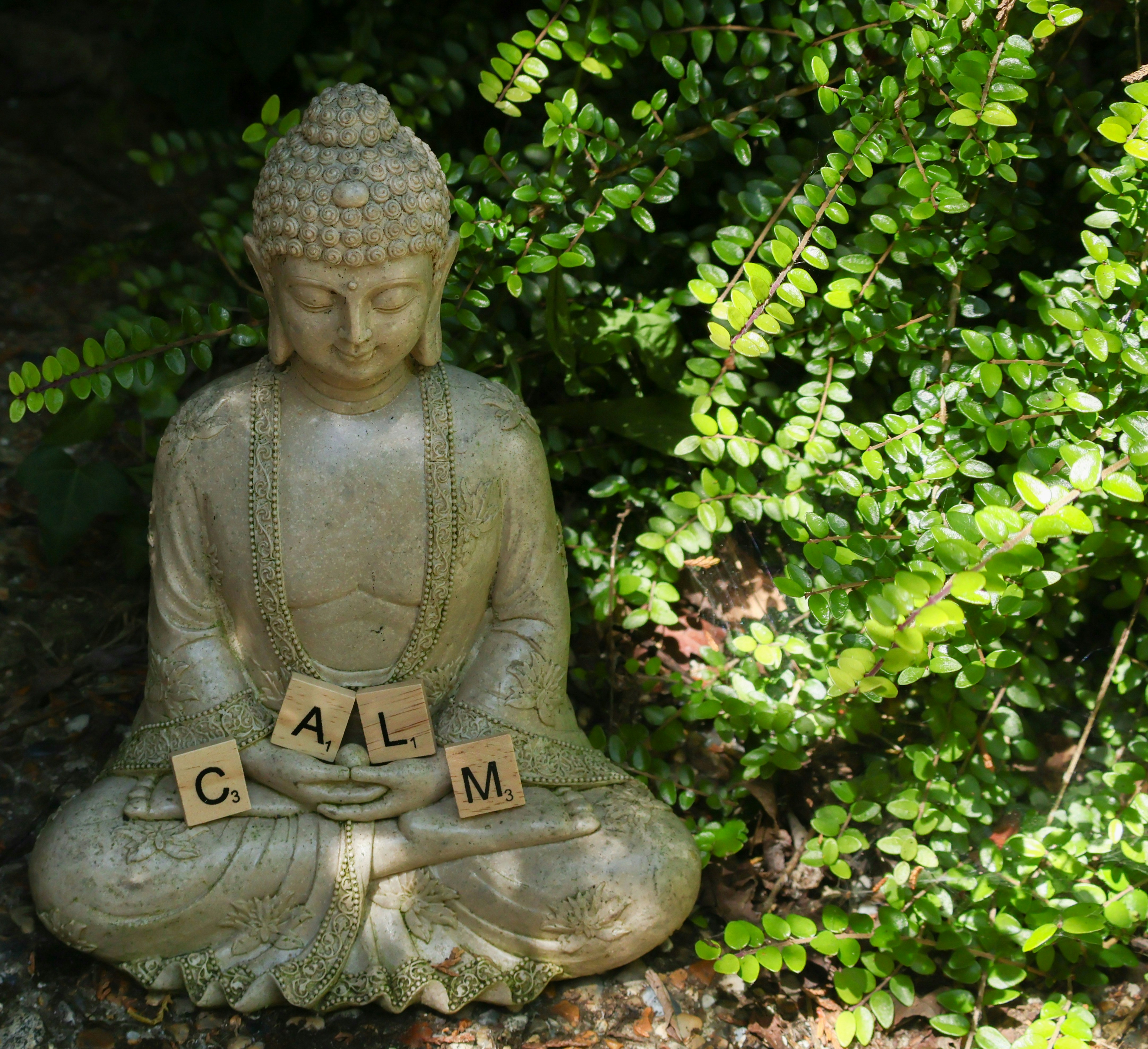 Meditative Buddha in the Green canopy