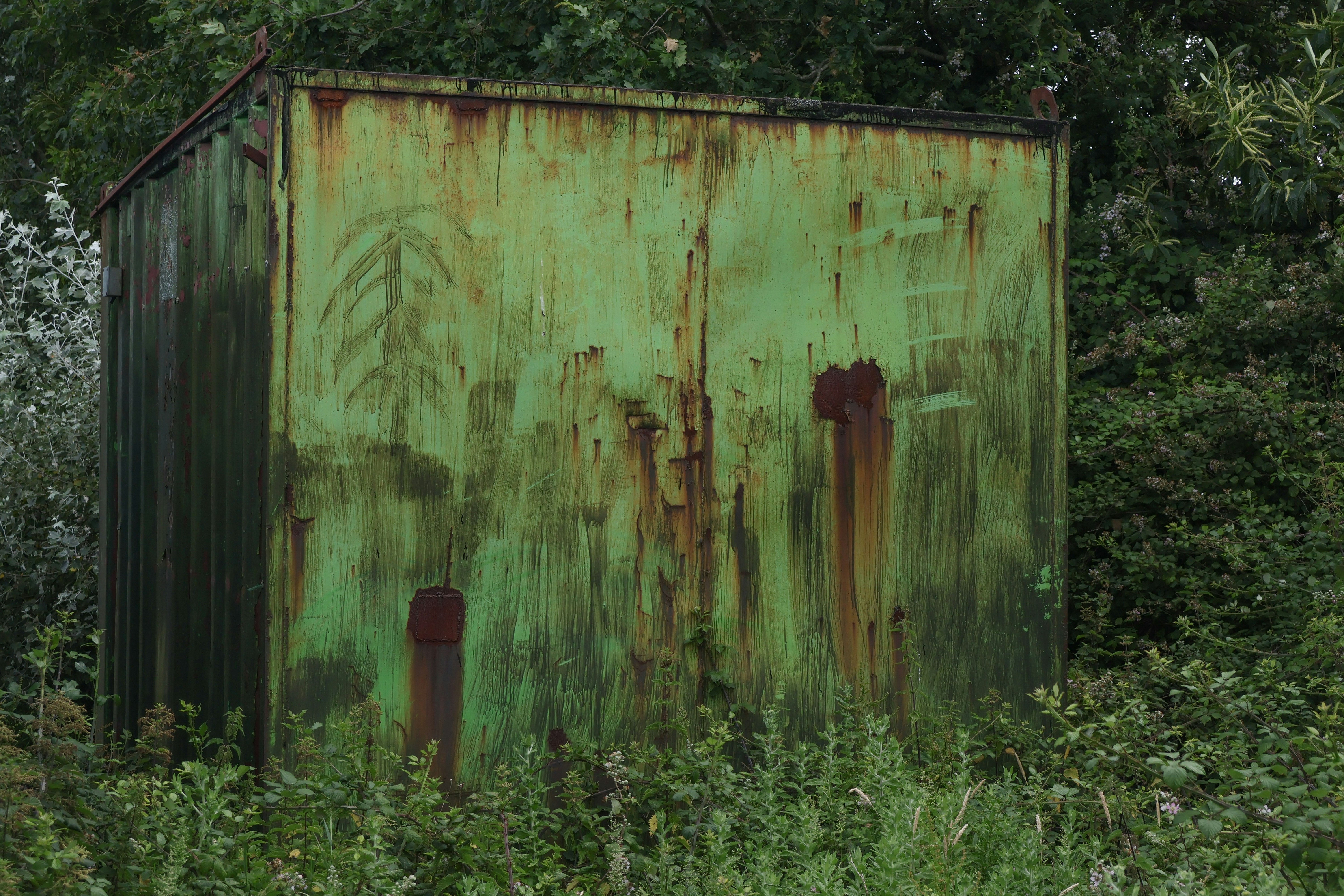 Rust and Green: A Weathered Shed Surrounded by Wild Verdurant