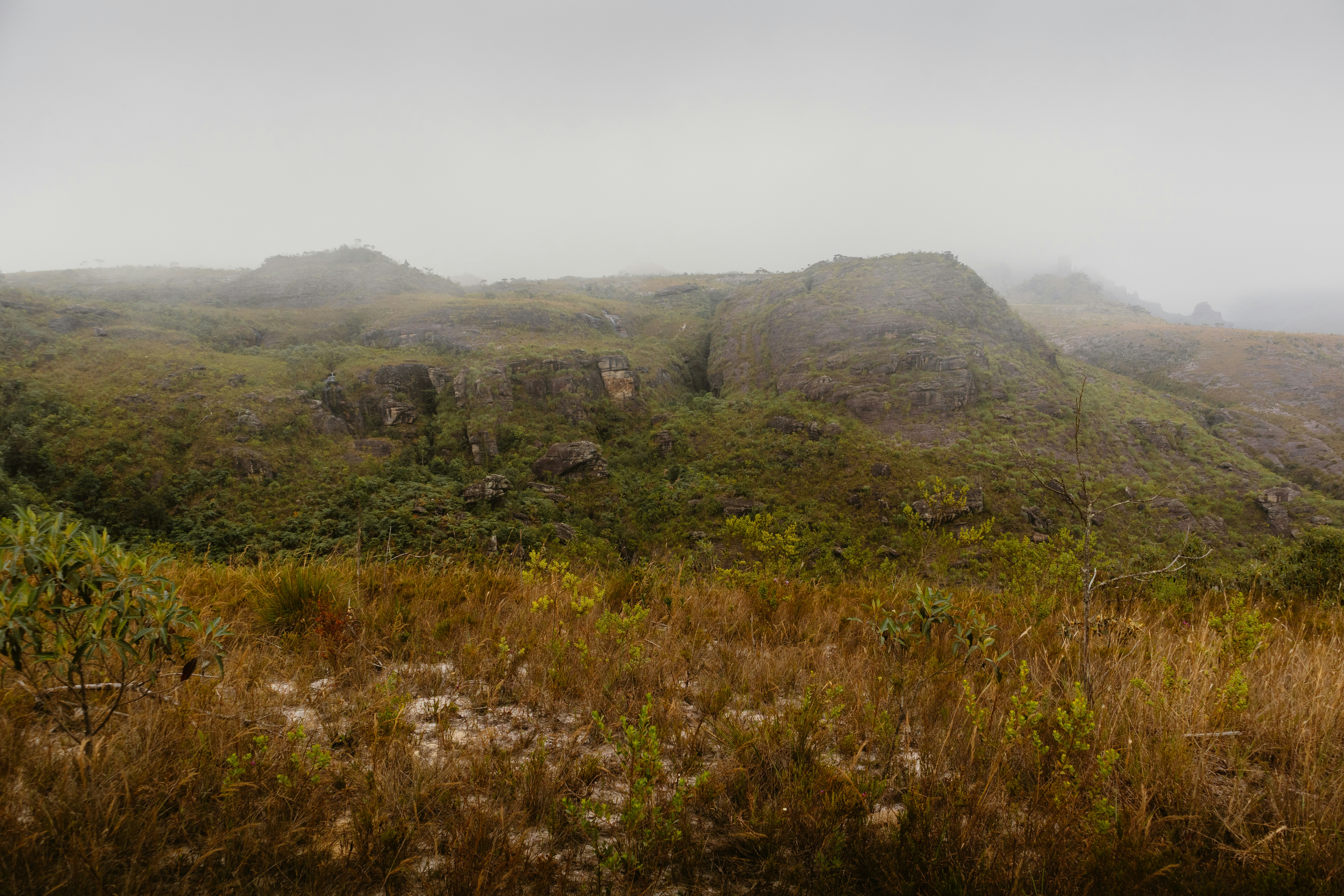 Misty Hills at Dusk: Rugged Coastal Plateau in Soft Fog