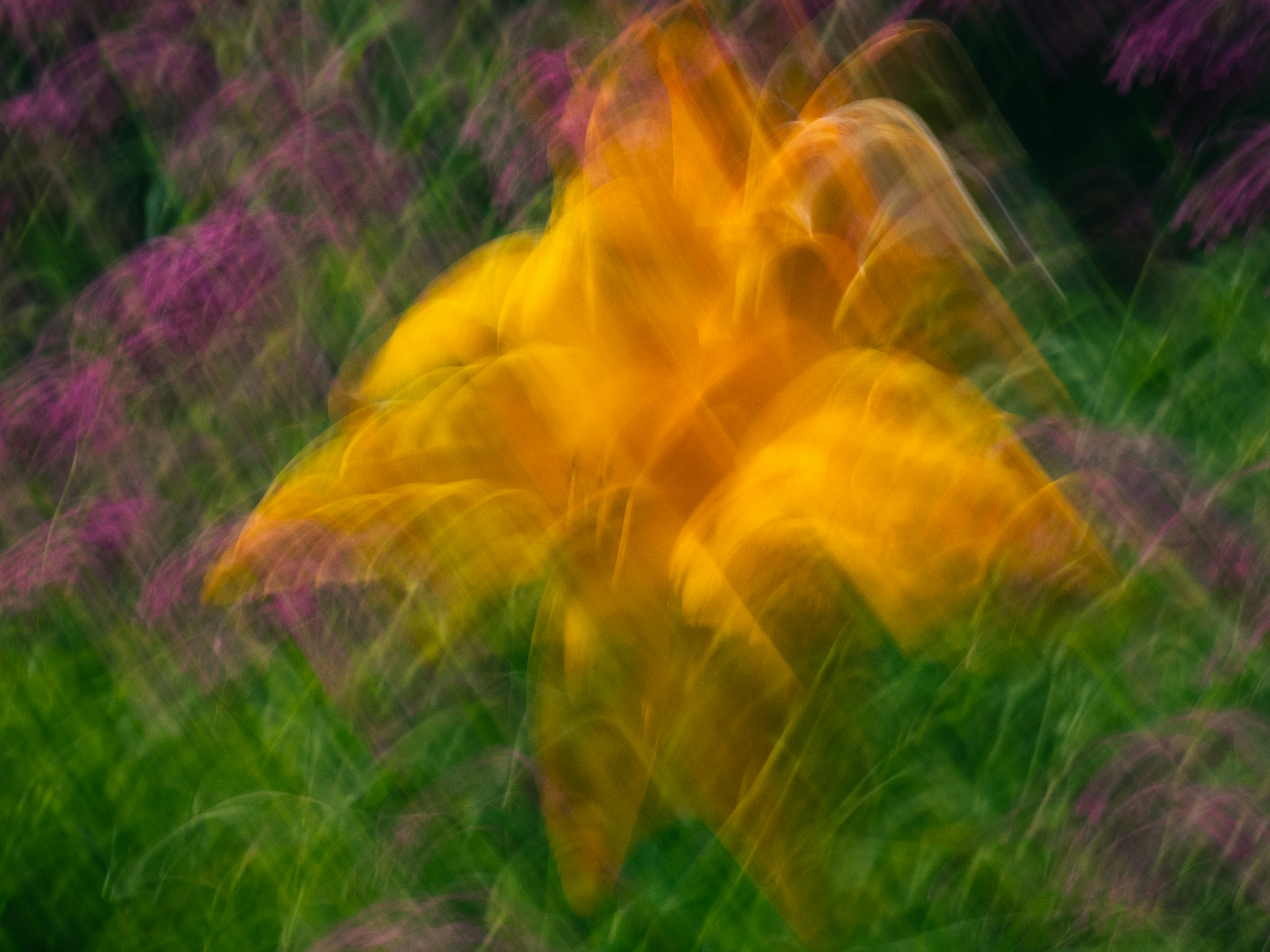 Golden Bloom in Motion: Blurred Petals Amid Green and Purple Veil