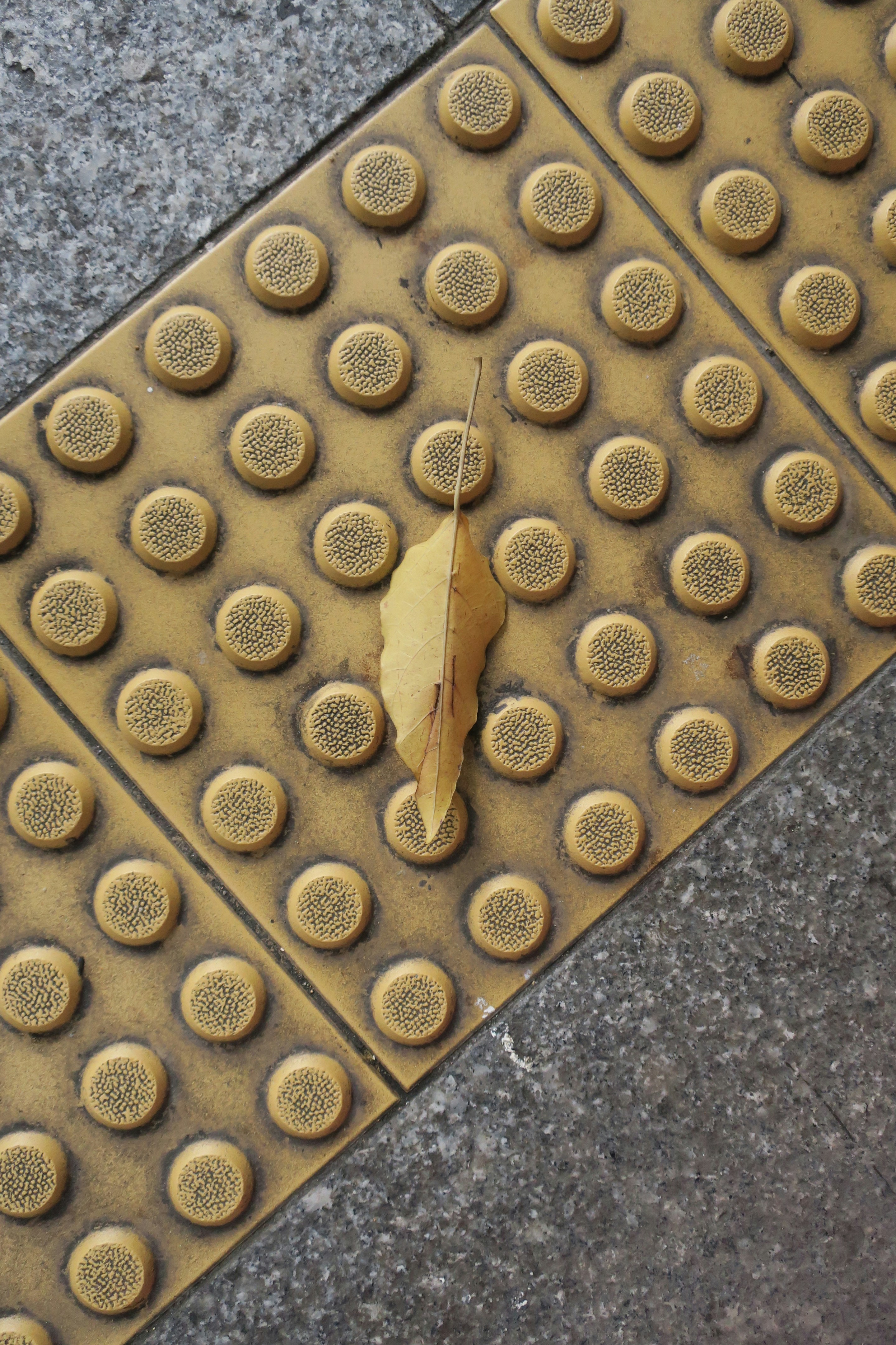 A single dry leaf rests on a tactile yellow warning strip embedded in a paved walkway.