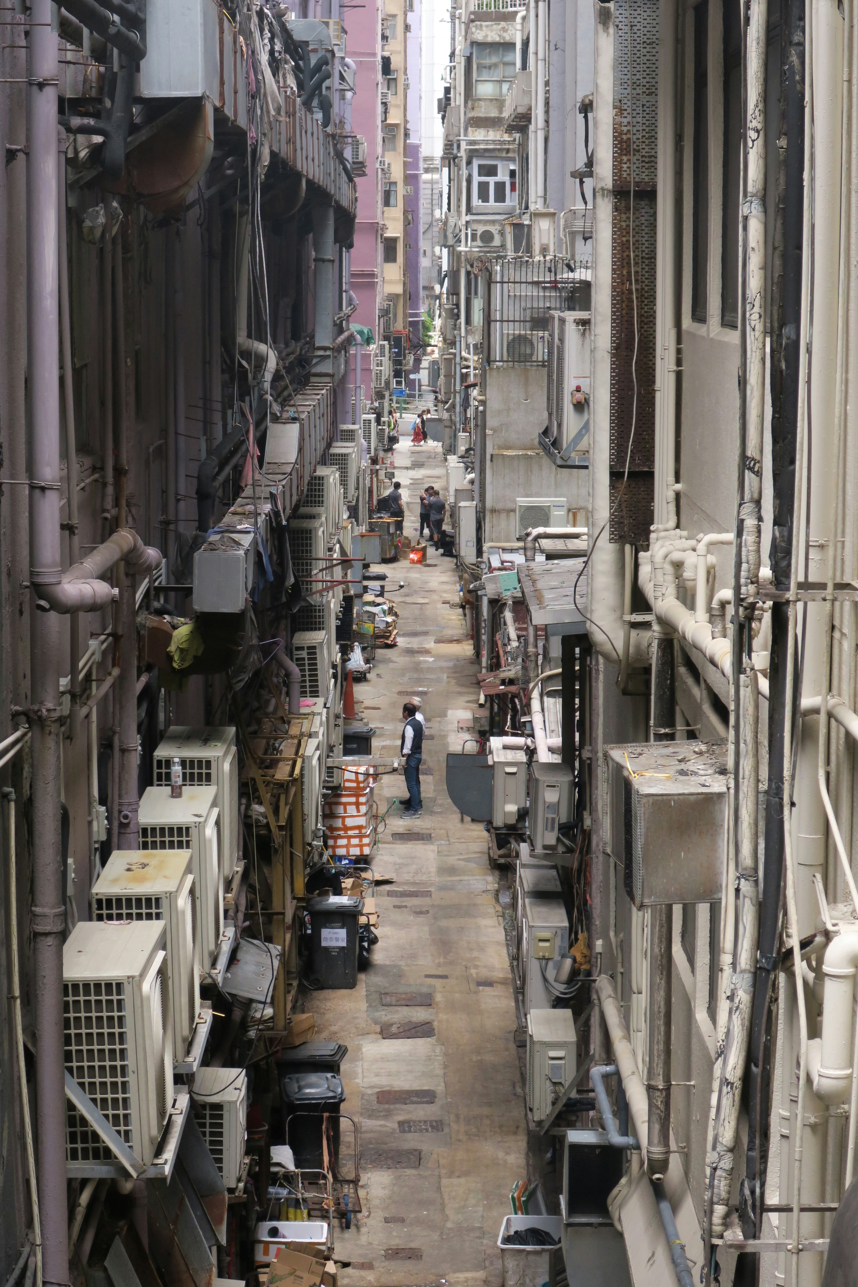 Photo by Koharu Tsurumi with Canon PowerShot G9 X