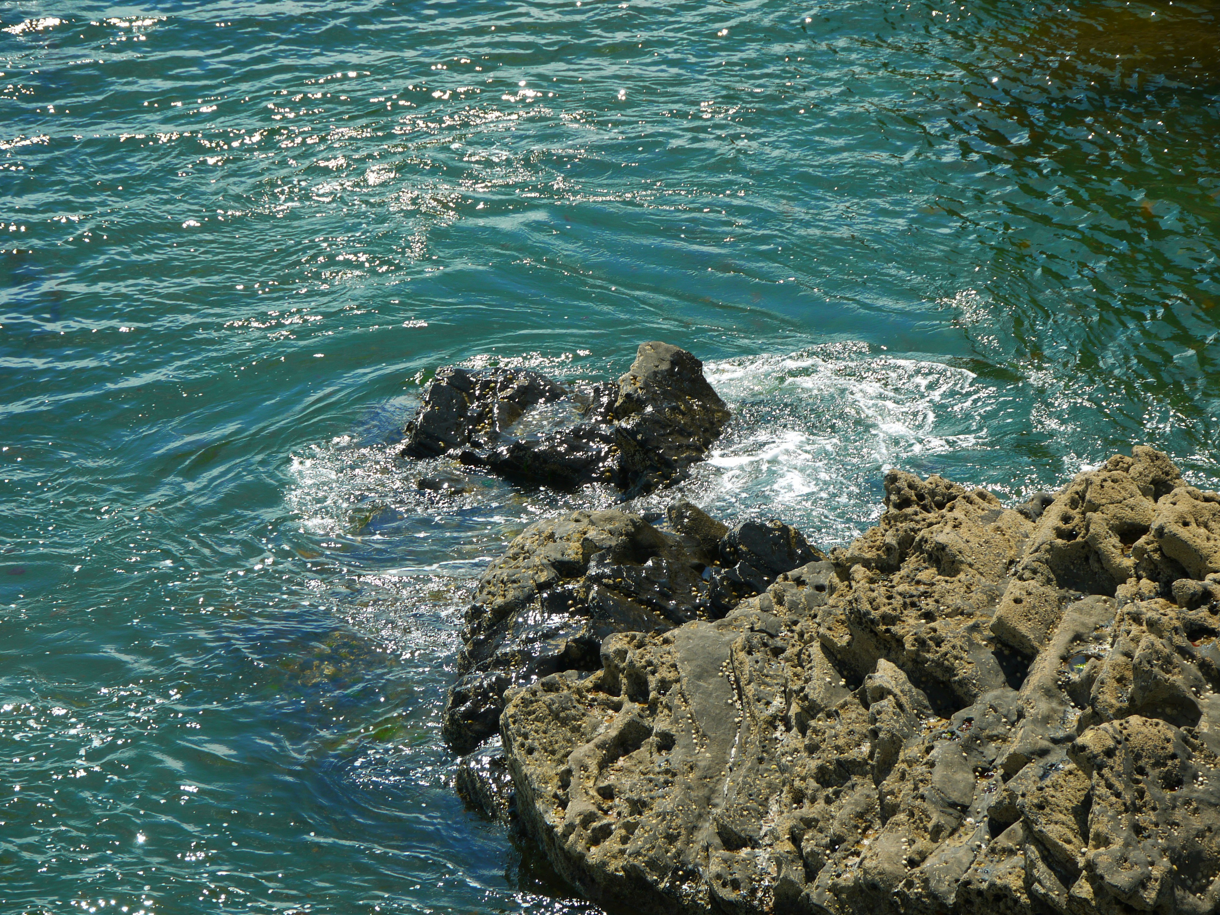 Sunlit turquoise water crashes against rugged rocks along a coastline, with textured barnacle-encrusted stones in the foreground.