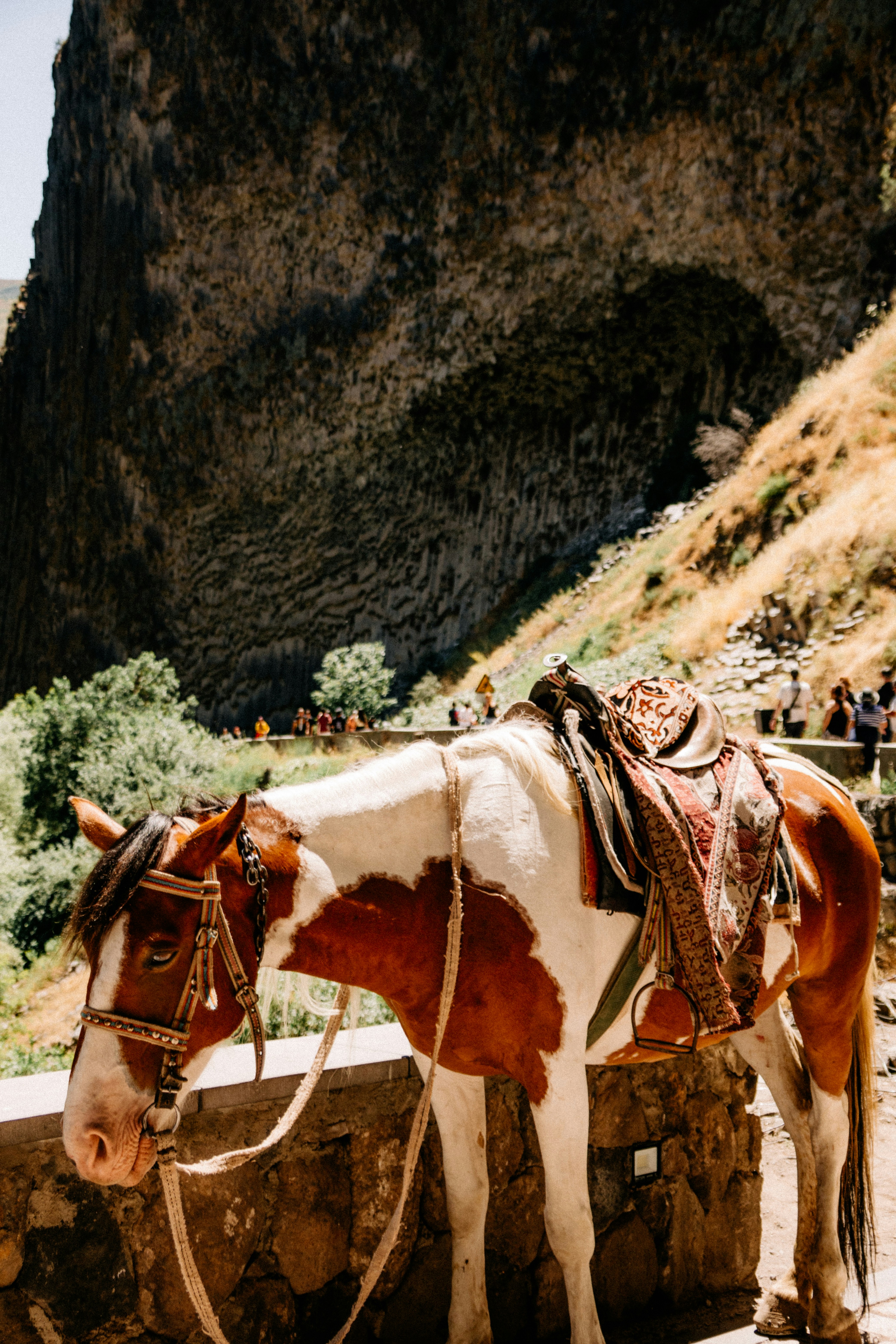 Saddle and Shadow: A Painted-Patterned Horse Resting Against a Cliffback
