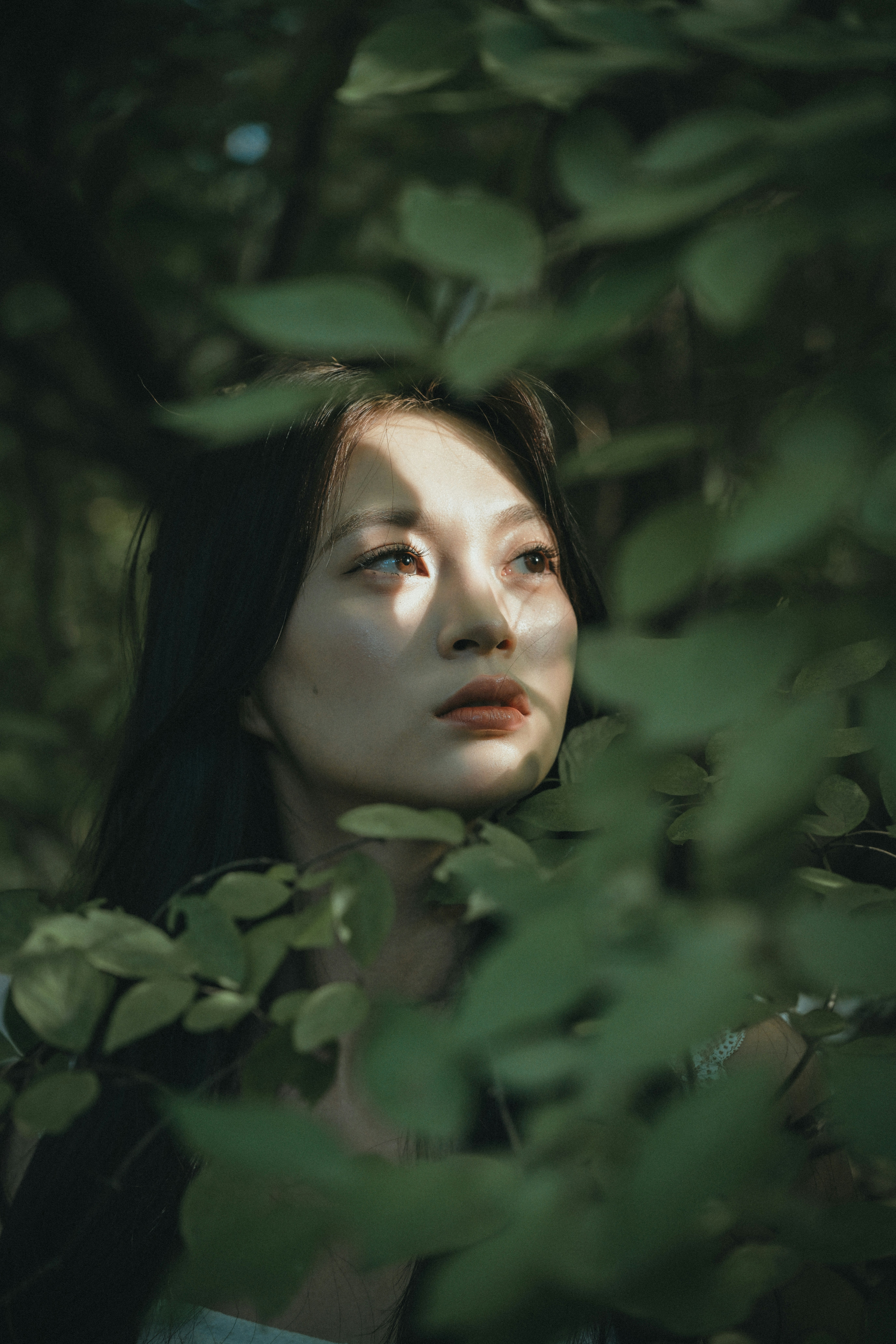 Through Green Veil: A Quiet Portrait in Dappled Light