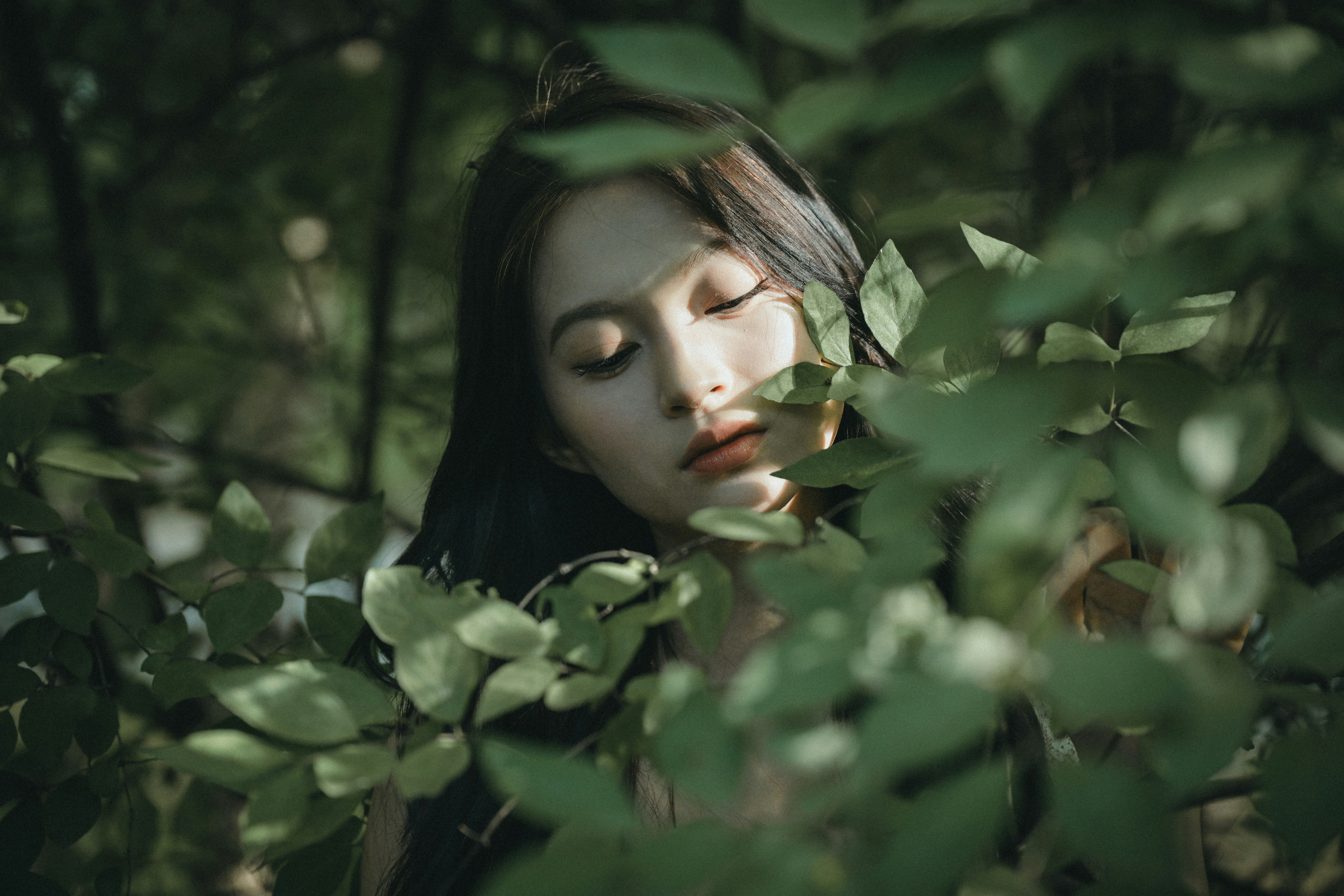 Hidden Gaze: A Serene Moment Shrouded by Verdant Veils
