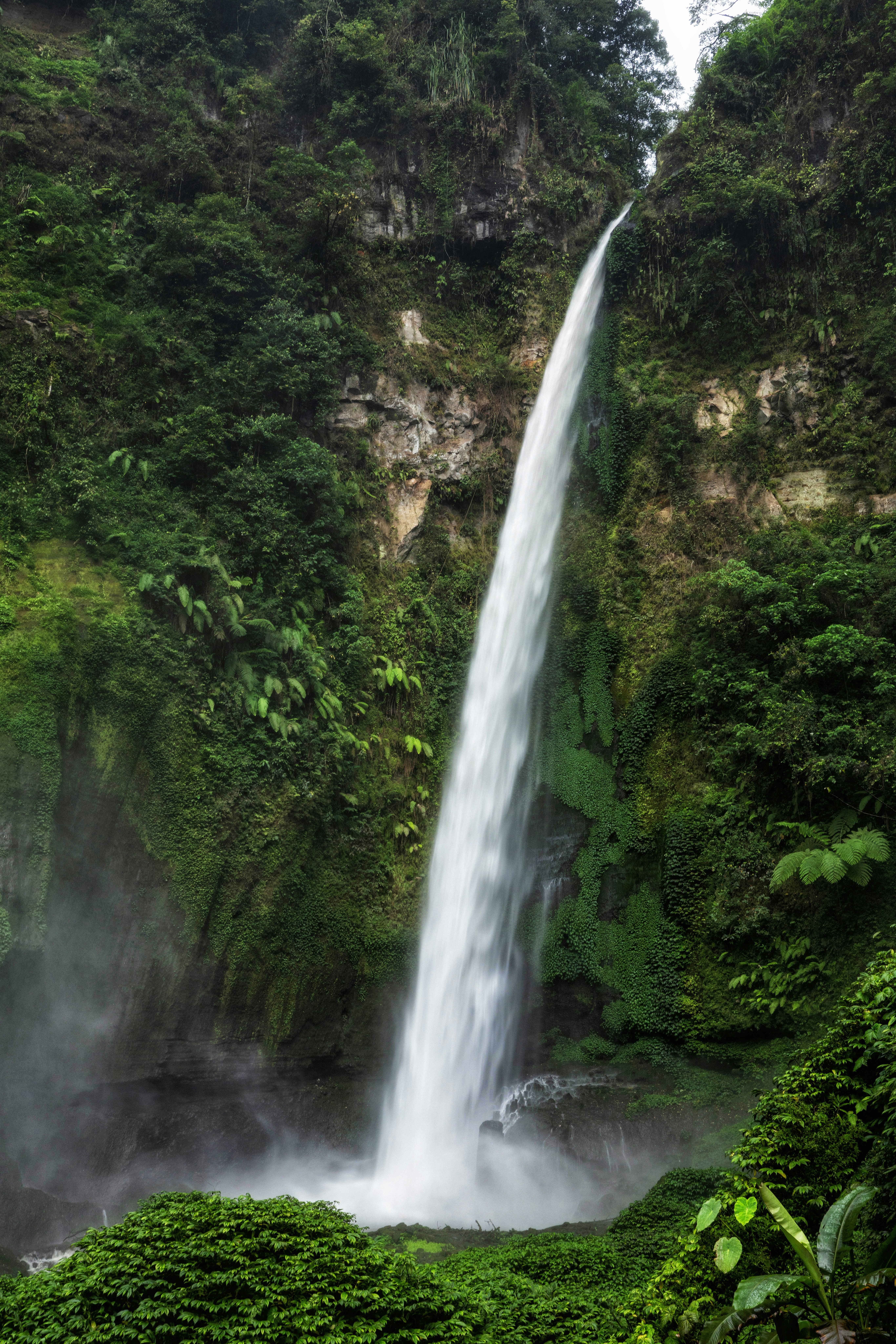 Cascading Veil: A Turbulent Waterfall Surrounded by Verdant Cliffside