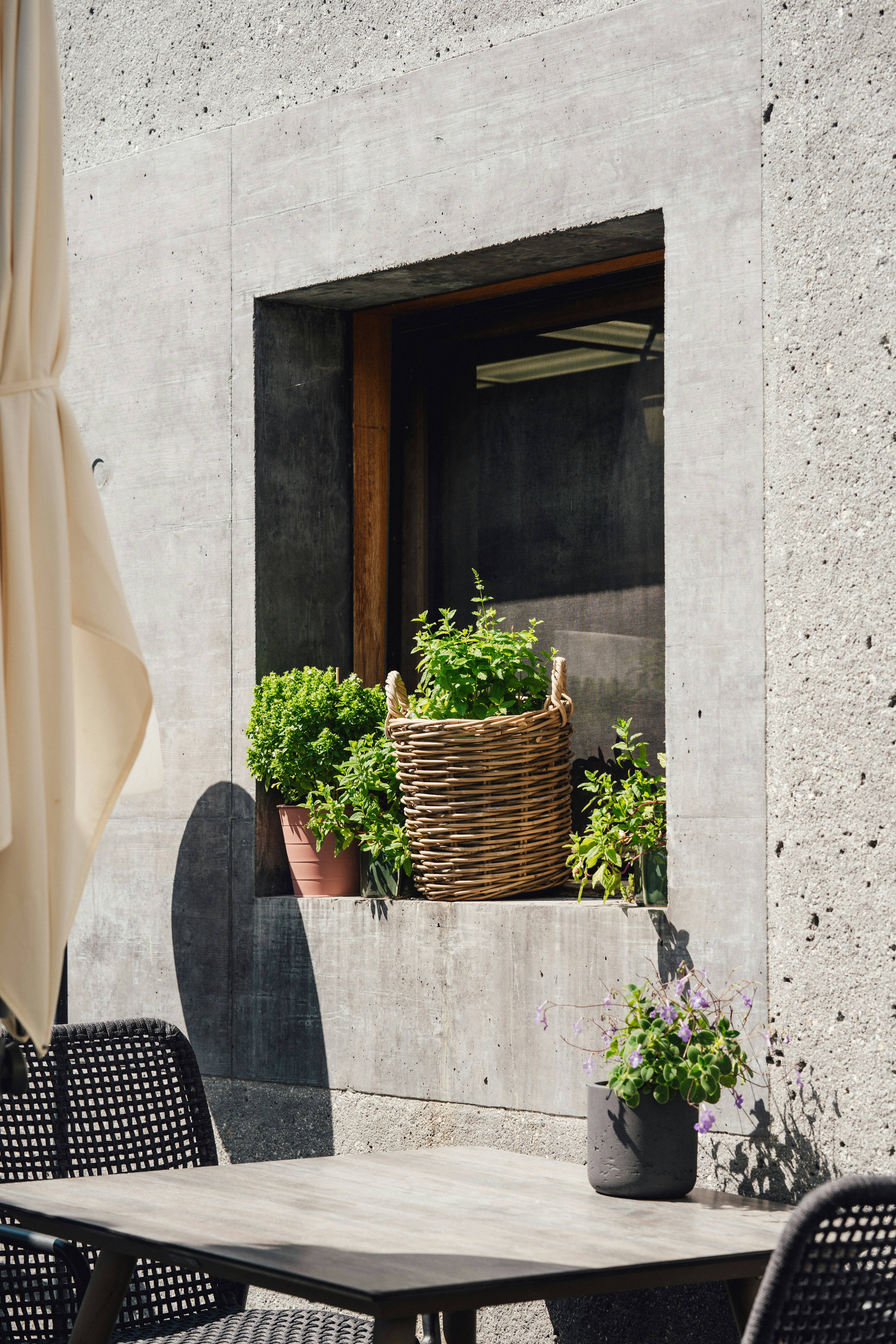Concrete Window Box Bistro: Greenery in a Sweet Spotlight