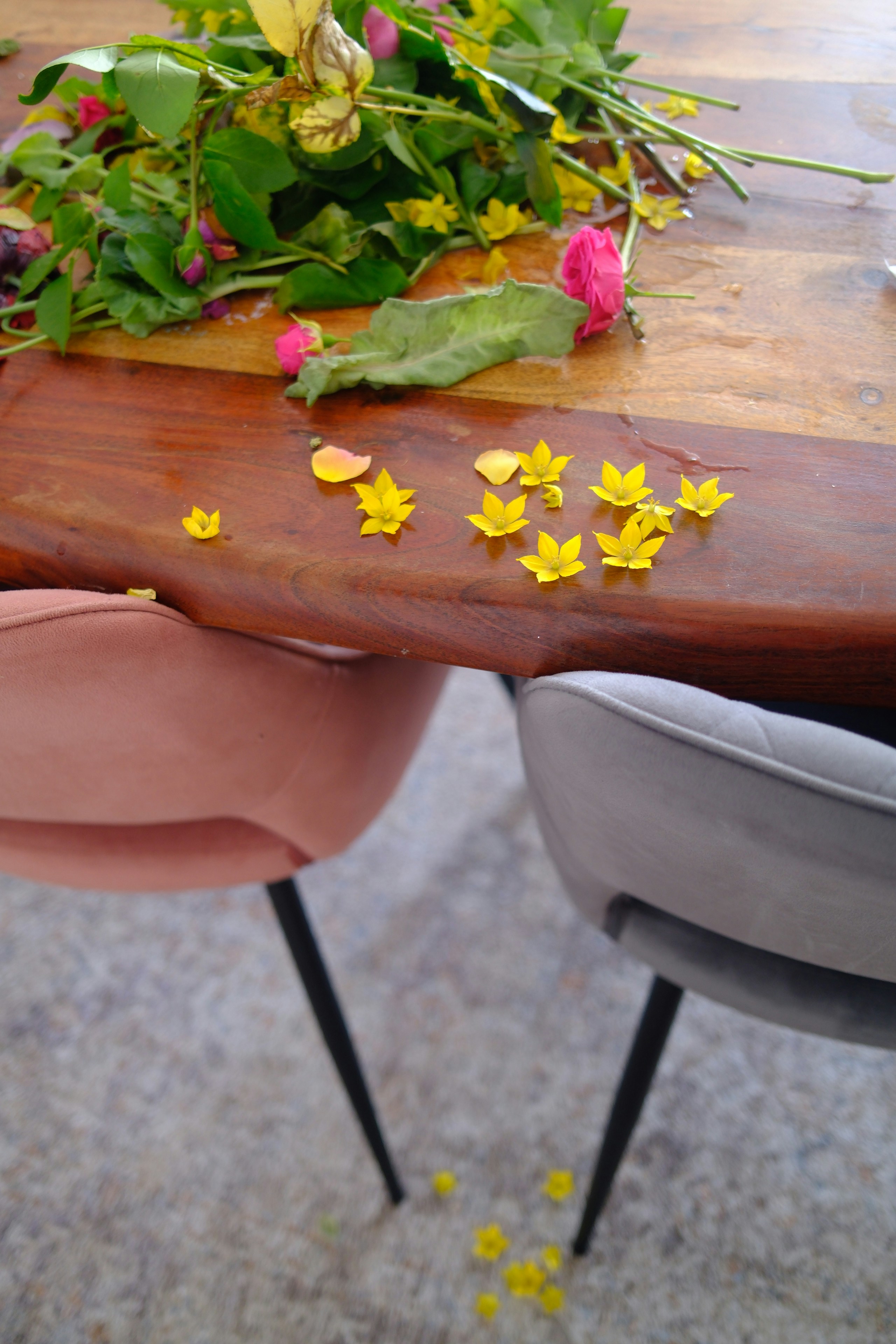 Yellow Aster Petals on a Wooden Table Edge