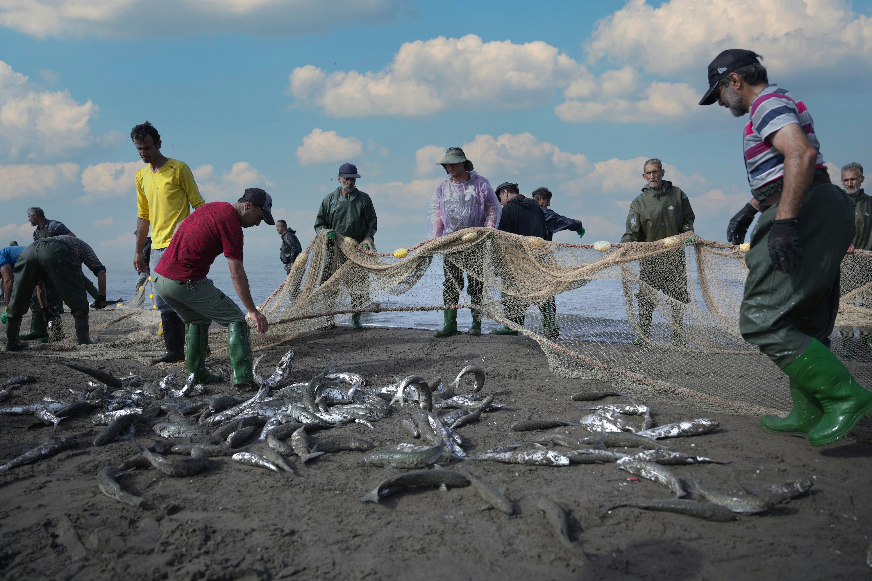 Drying Fish Net: A Community Haul on the Shore