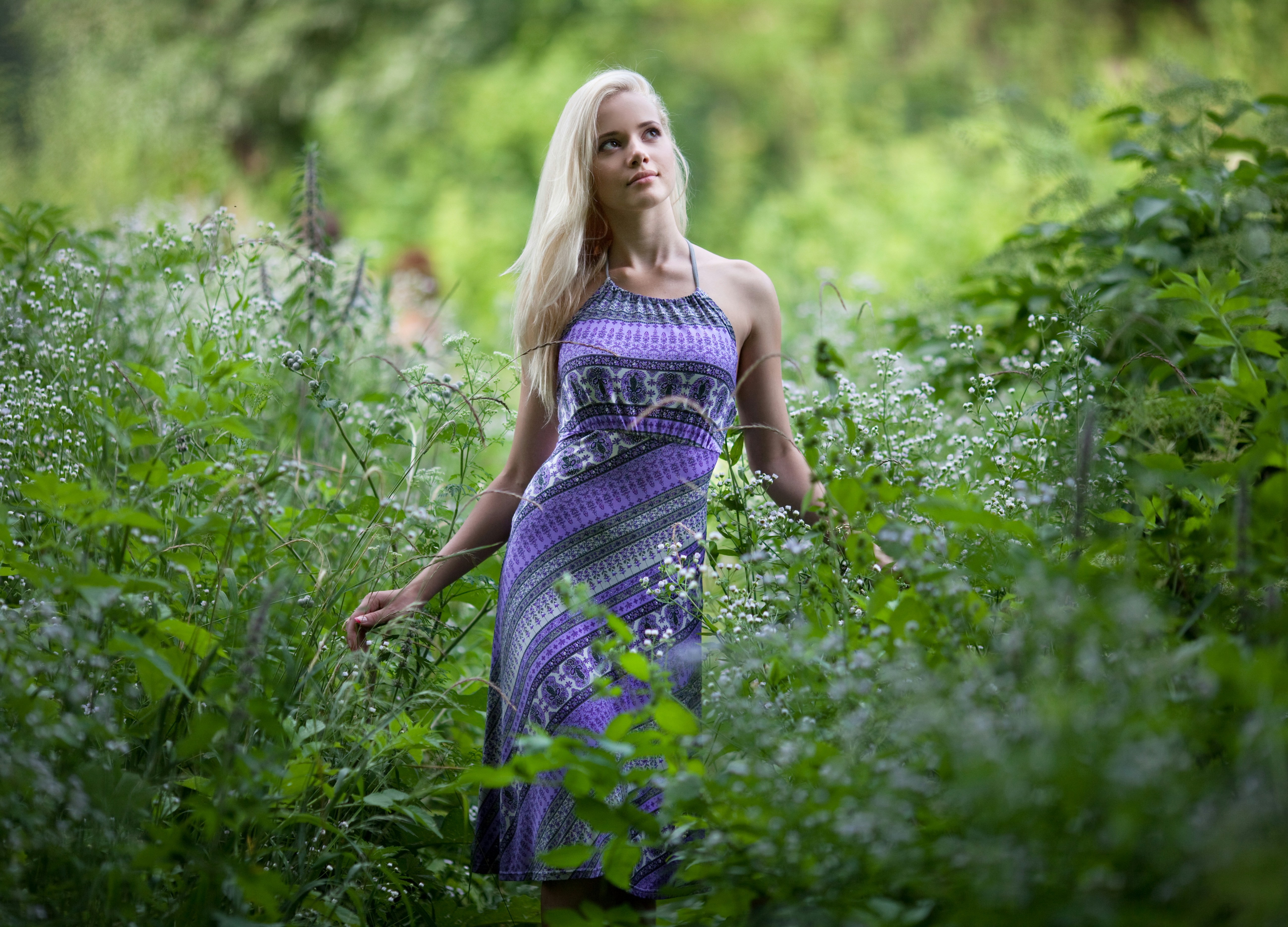 Lilac Meadow Portrait: A Wind-Swept Portrait in Wildflowers