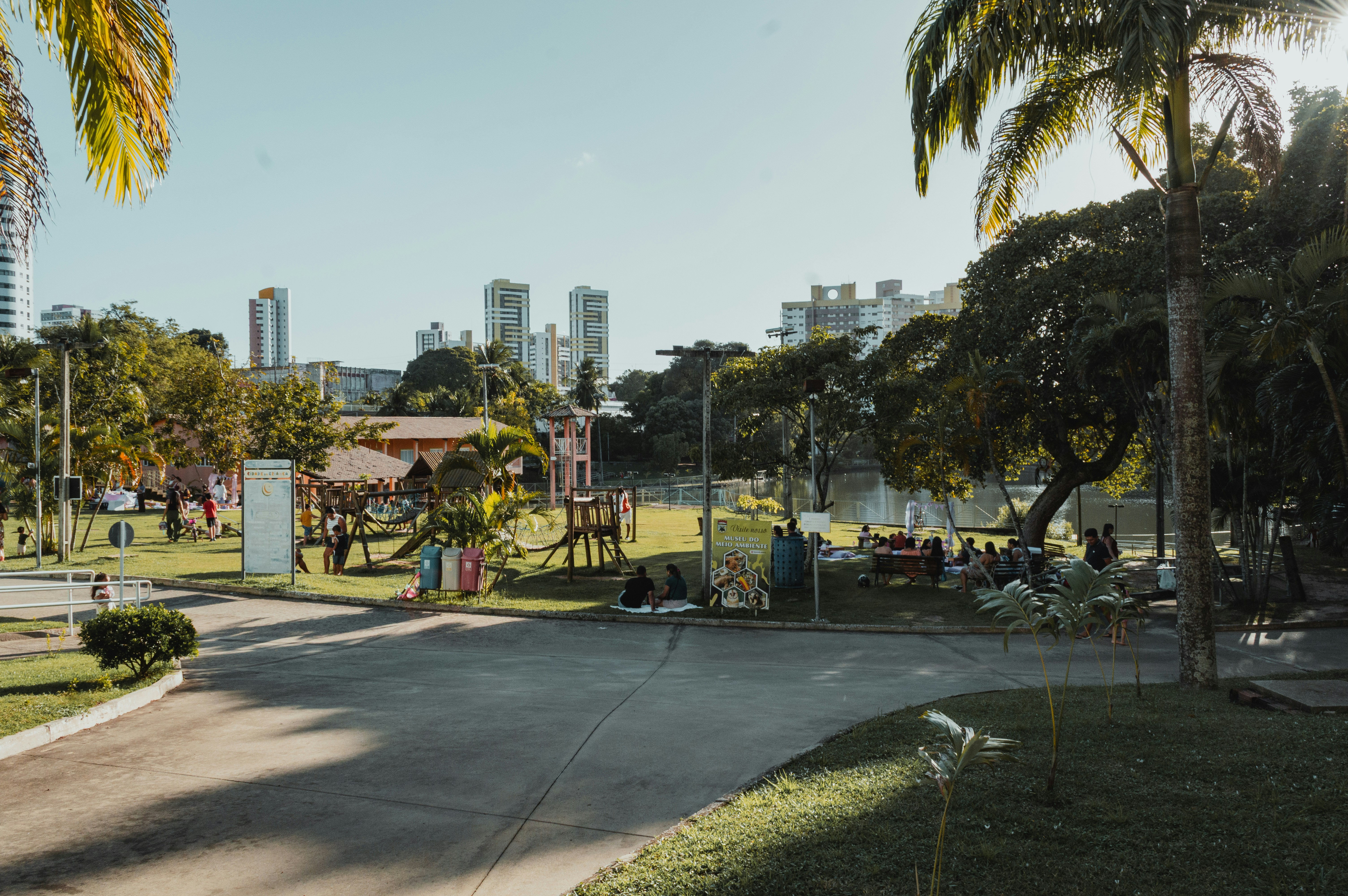 Sunlit parkfront with city skyline peeking over trees