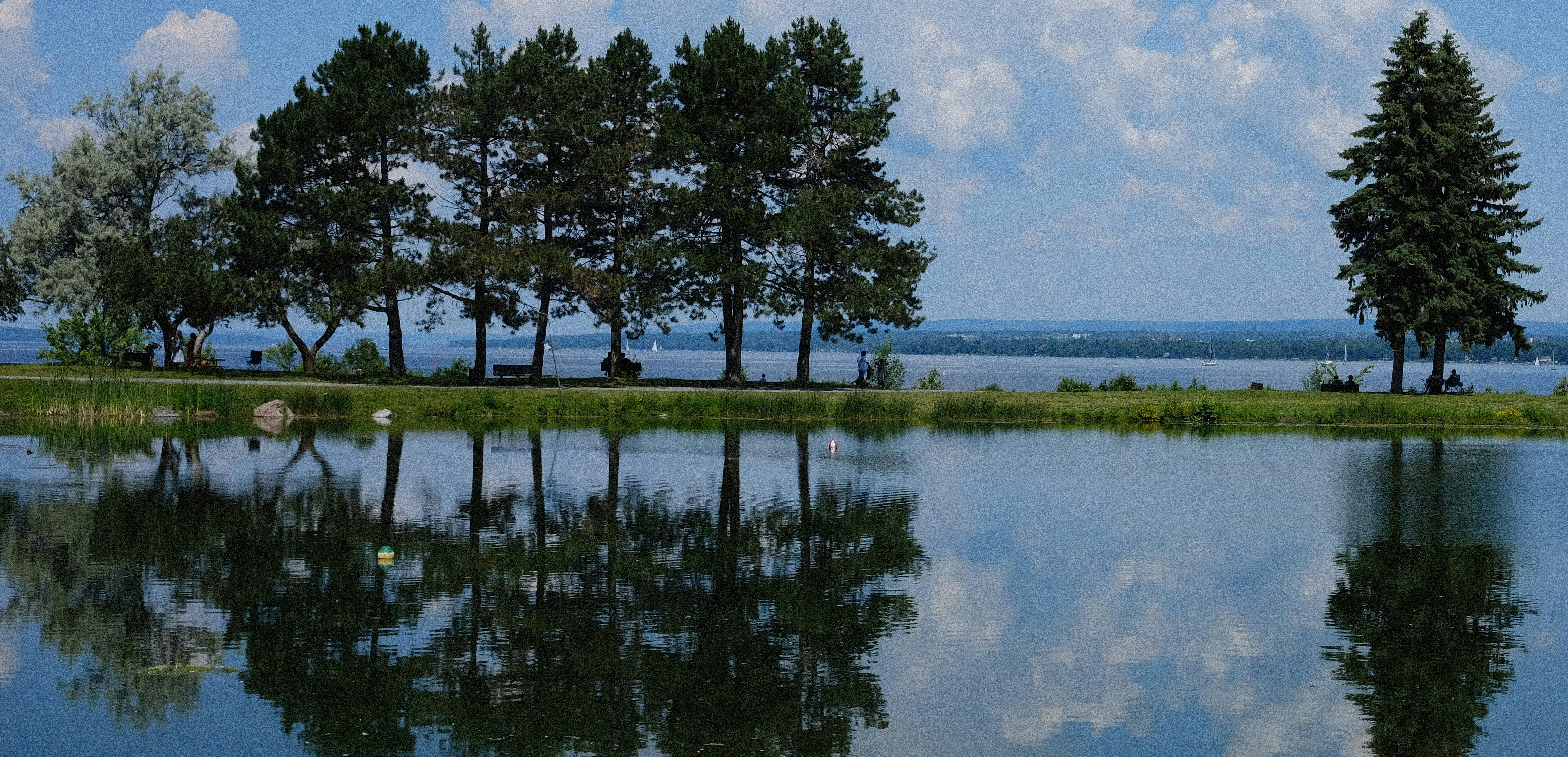 Silhouetted pines and their mirror in a tranquil lakescape