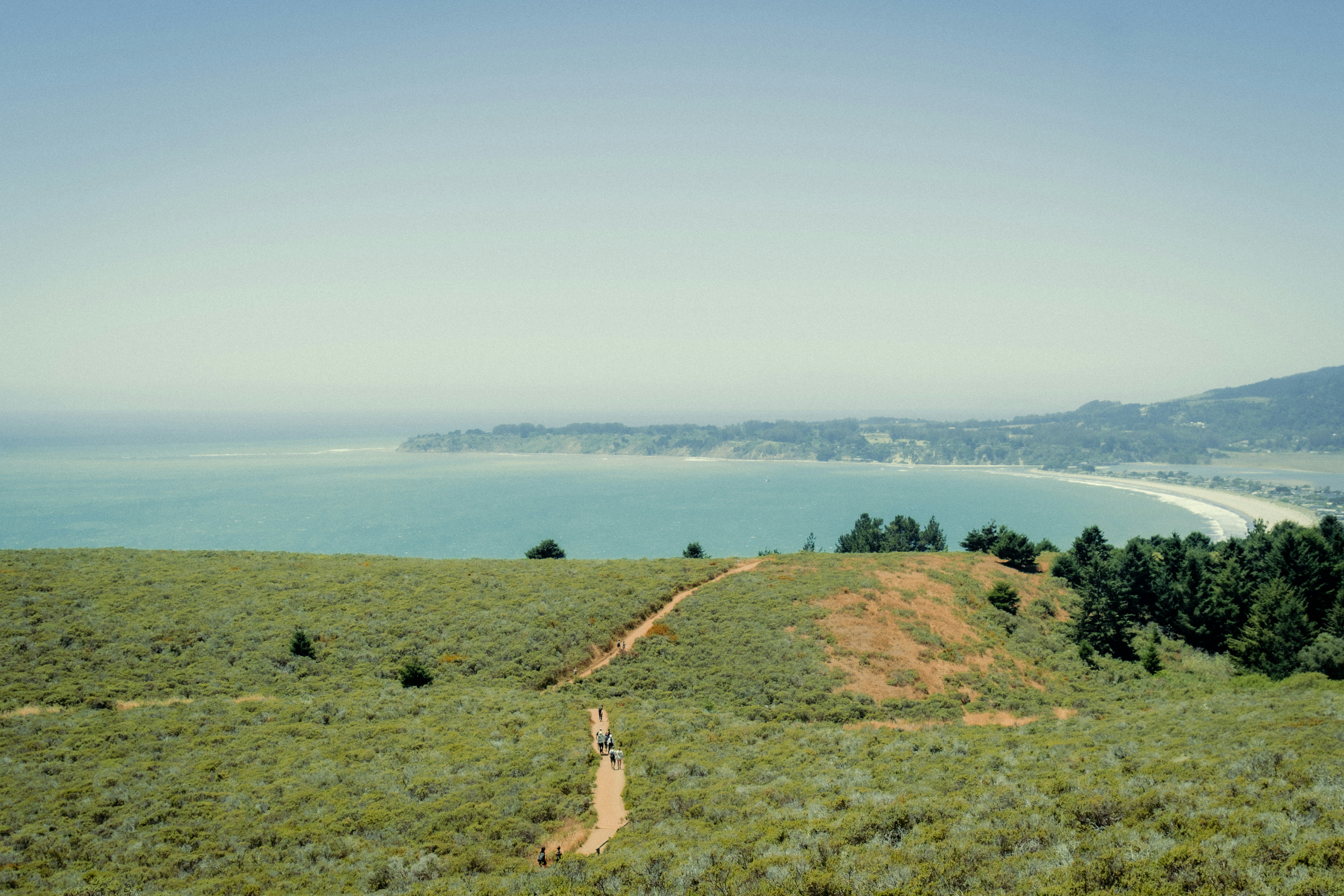 Coastal dune trail toward a distant crescent shore