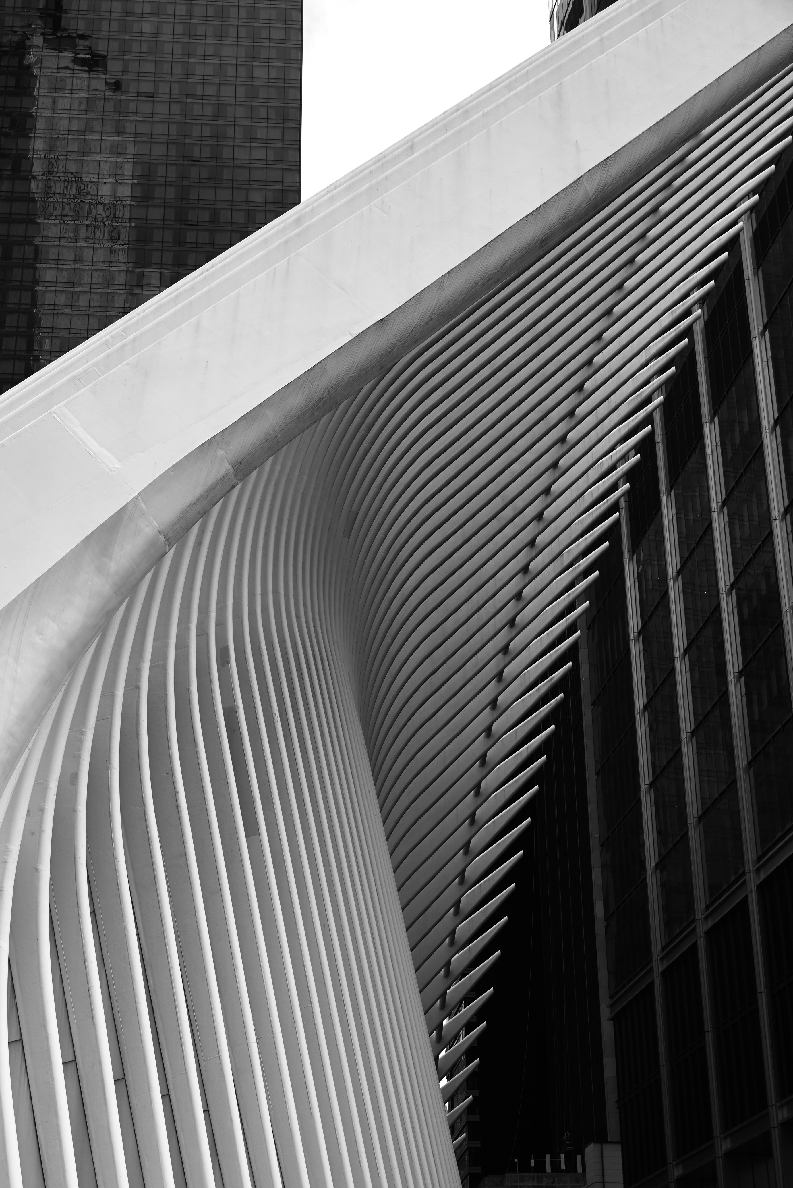 Curved ribs of a modern tower slice through light and shadow