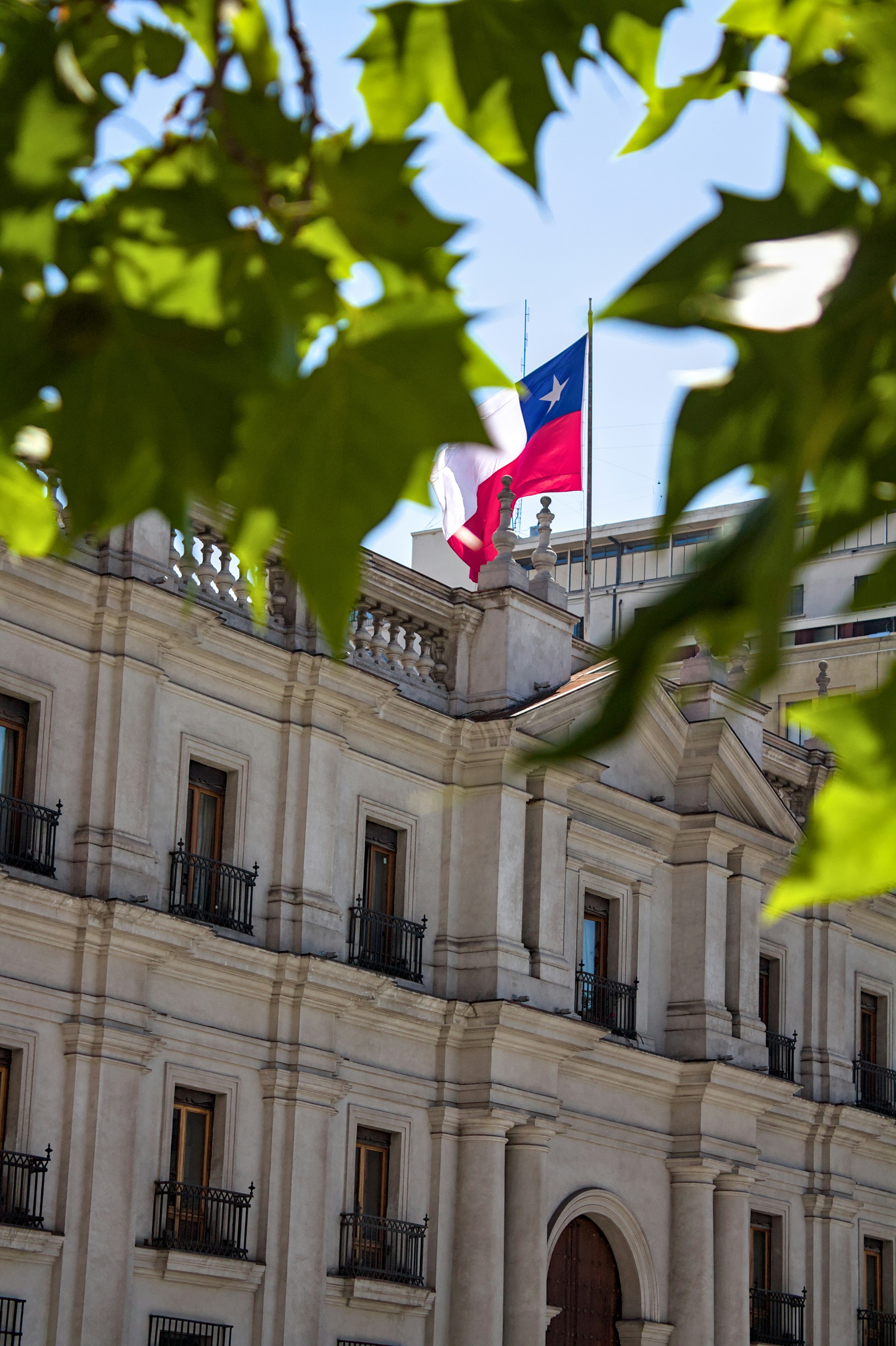 Flag Above Classical Facade Framed by Green Canopy