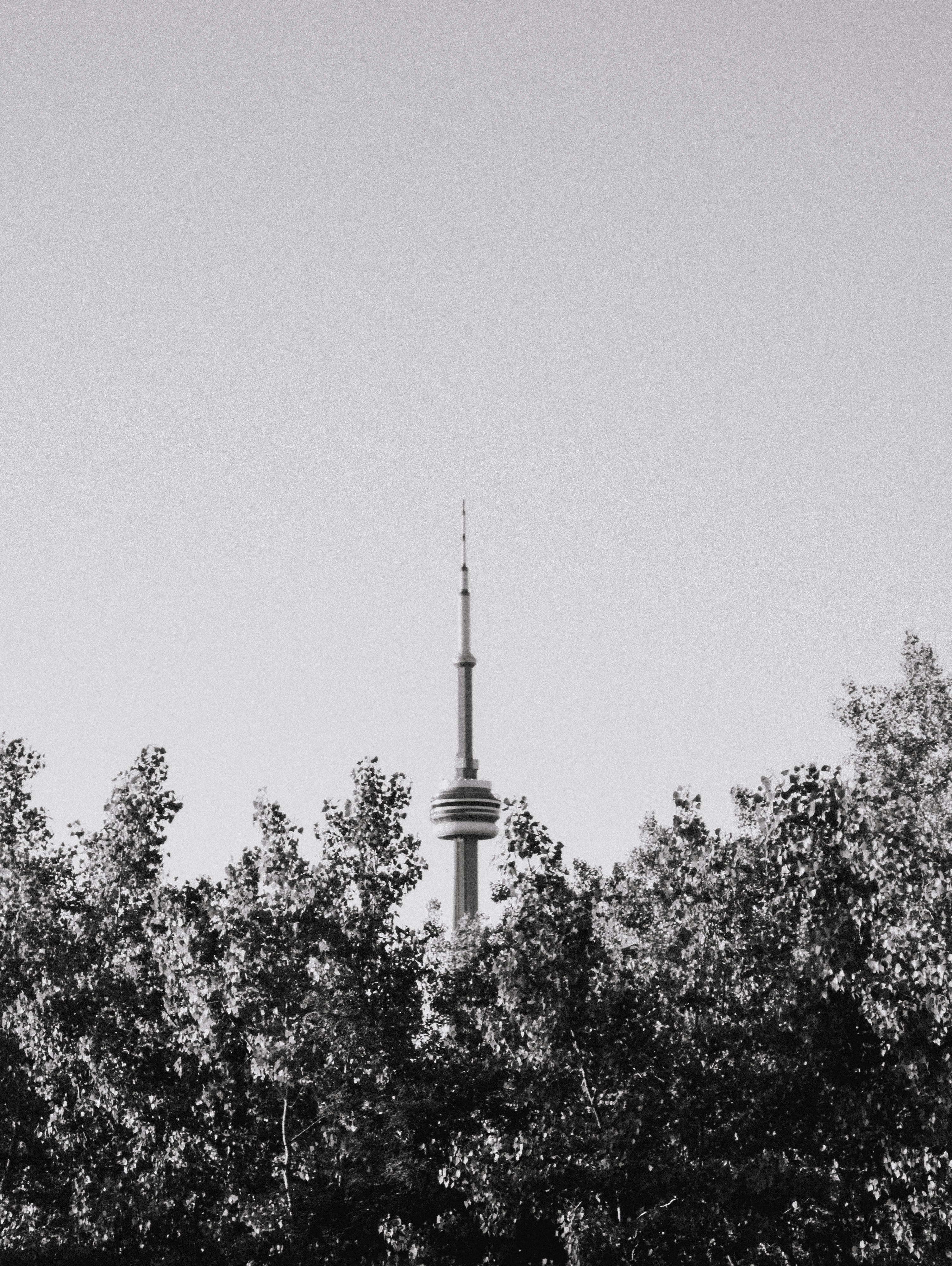 Toronto Tower Piercing Through the Canopy
