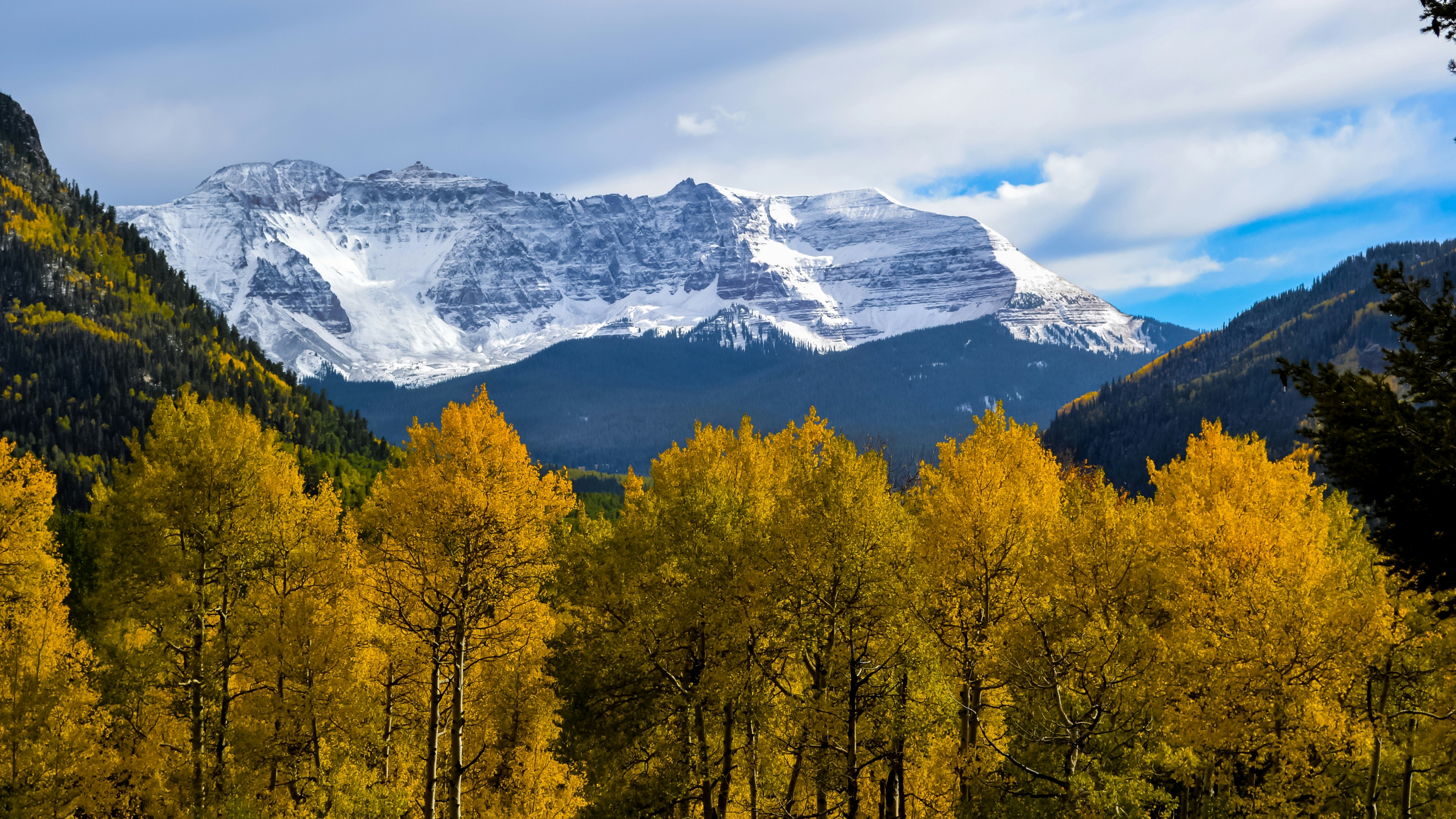Golden Aspens Before the Icy Peaks