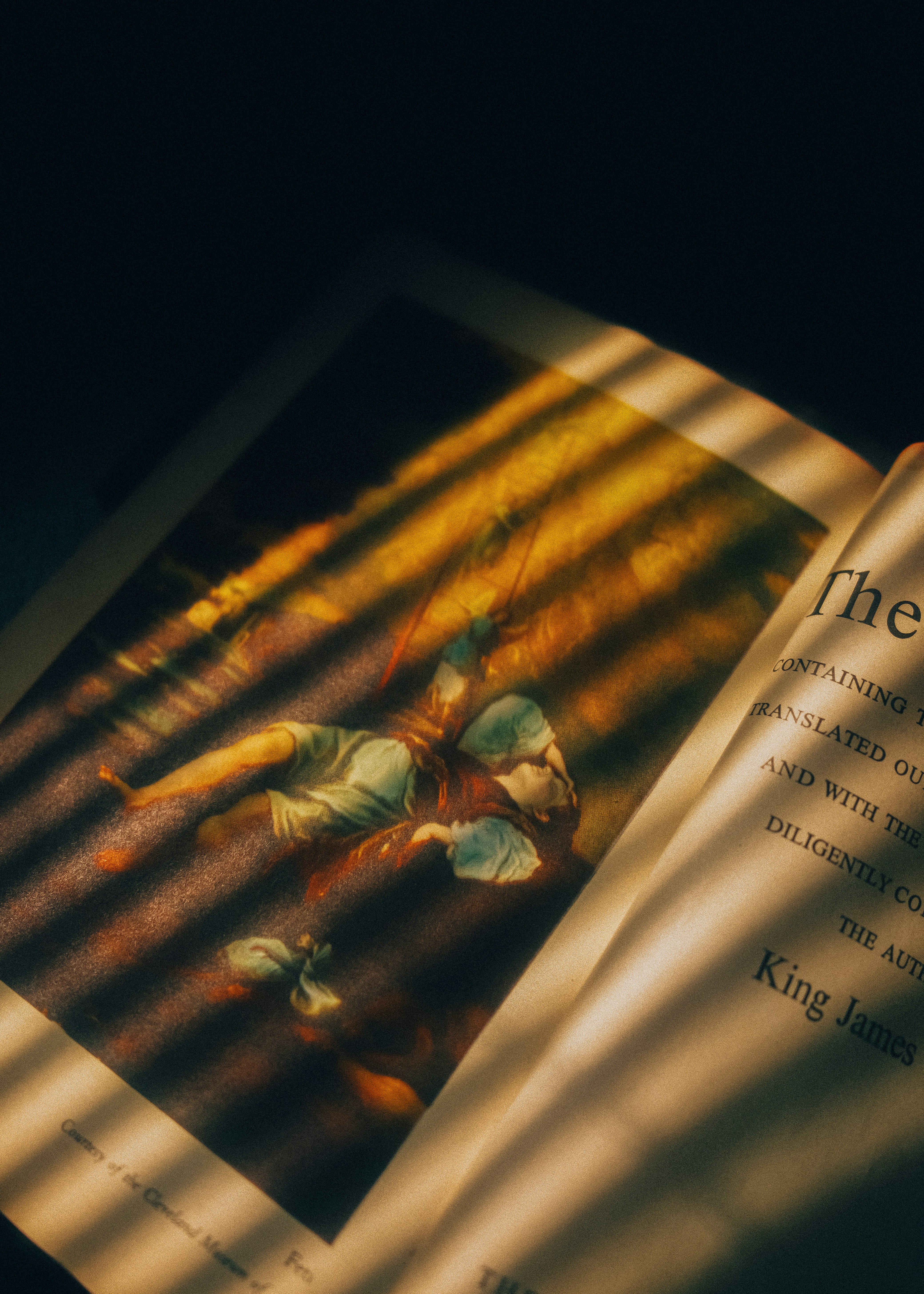 Sunlit Orthogonal Lines Across a Book Page