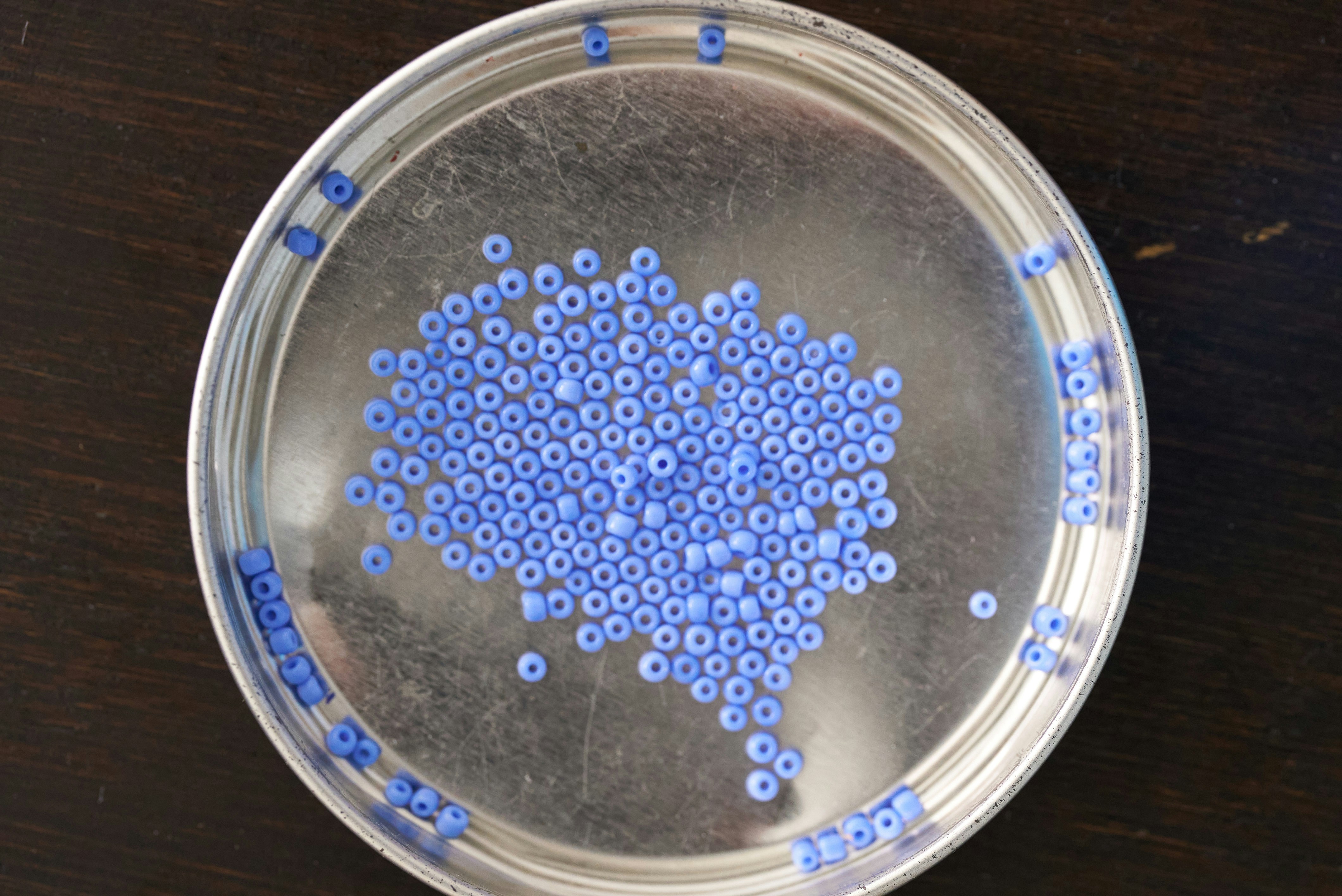 Blue-melled precision: a Petri dish of cultured beads laid in a spiral scatter
