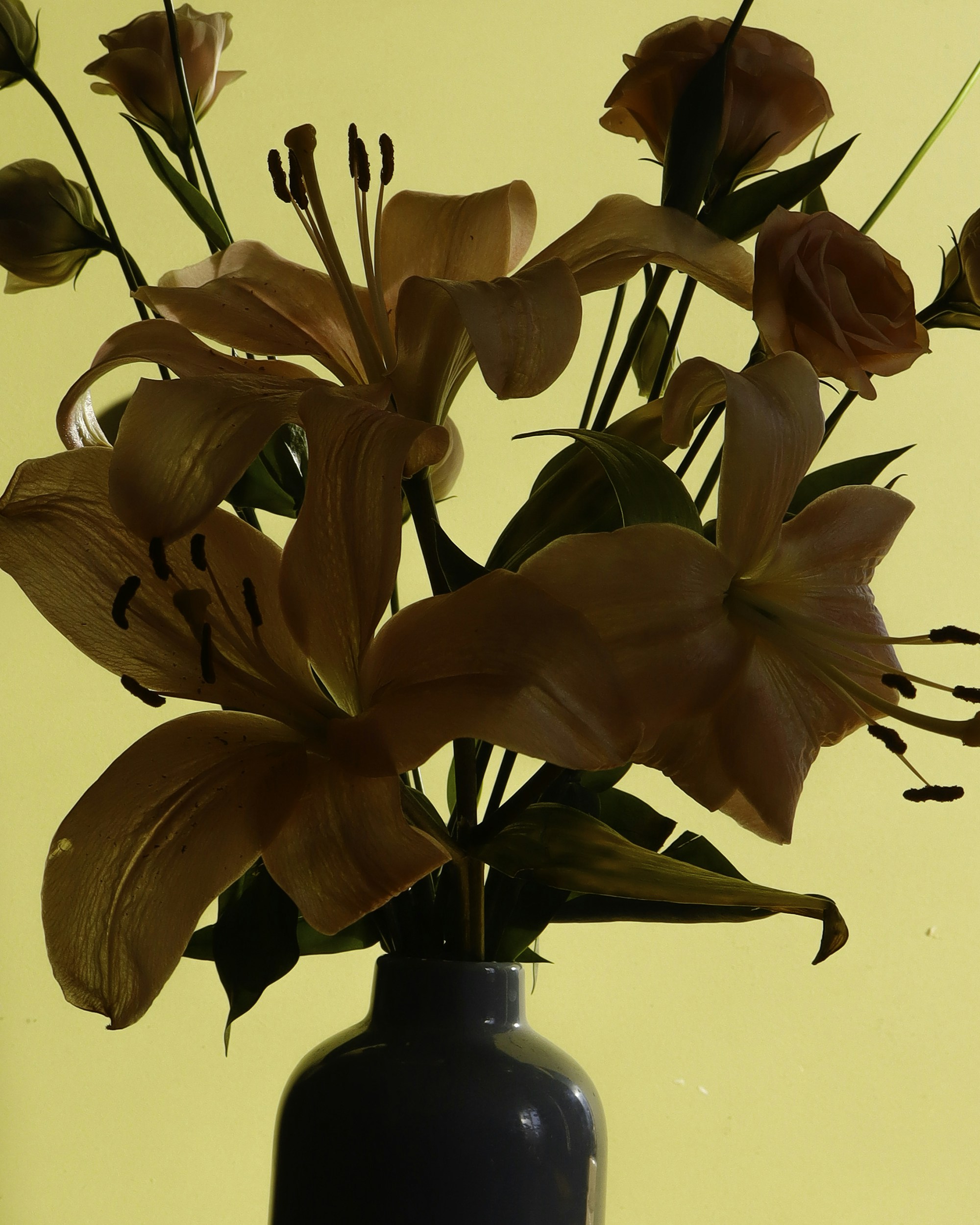 Amber Bloom in Backlit Glass Vase
