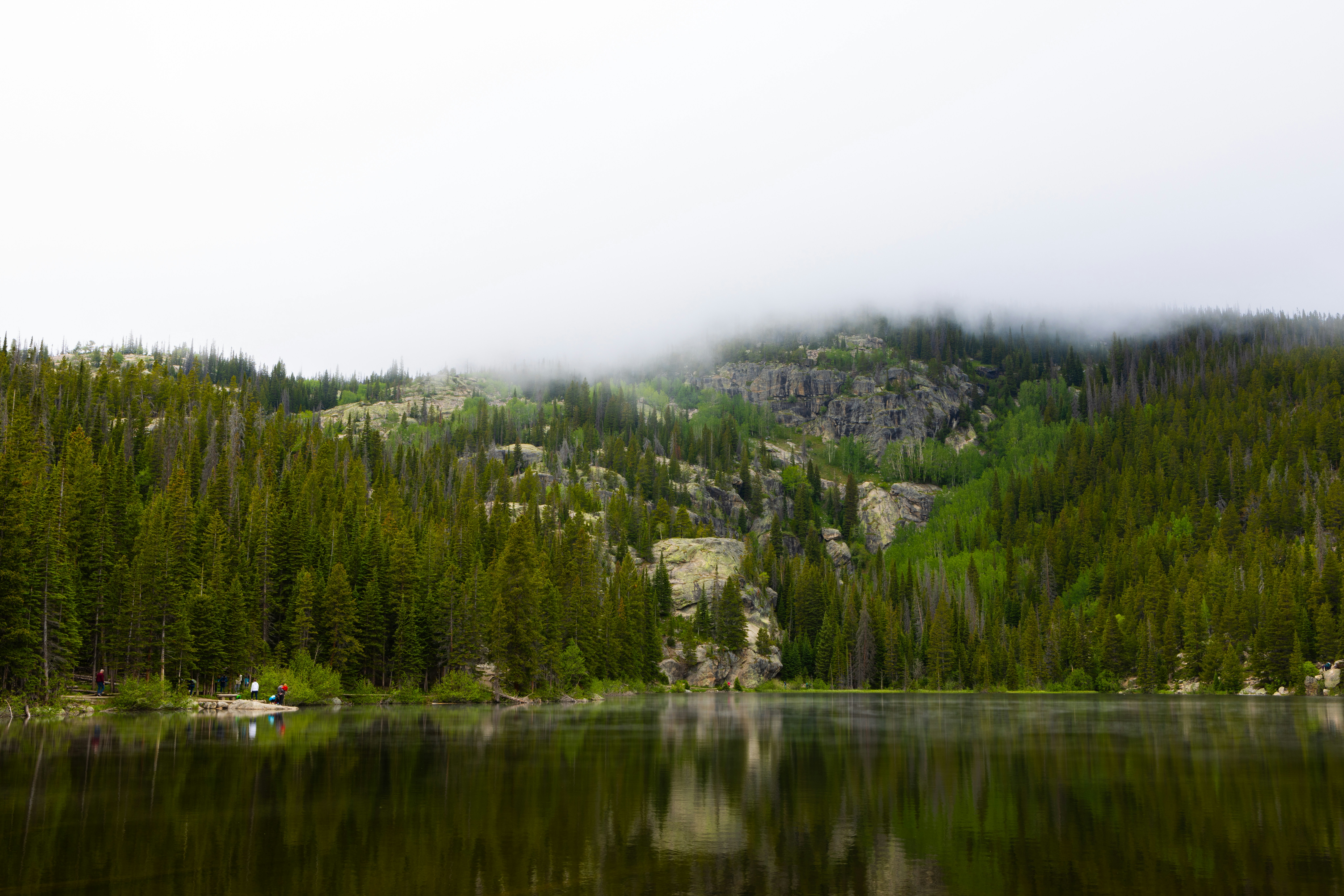 Still Lake at the Edge of the Pines