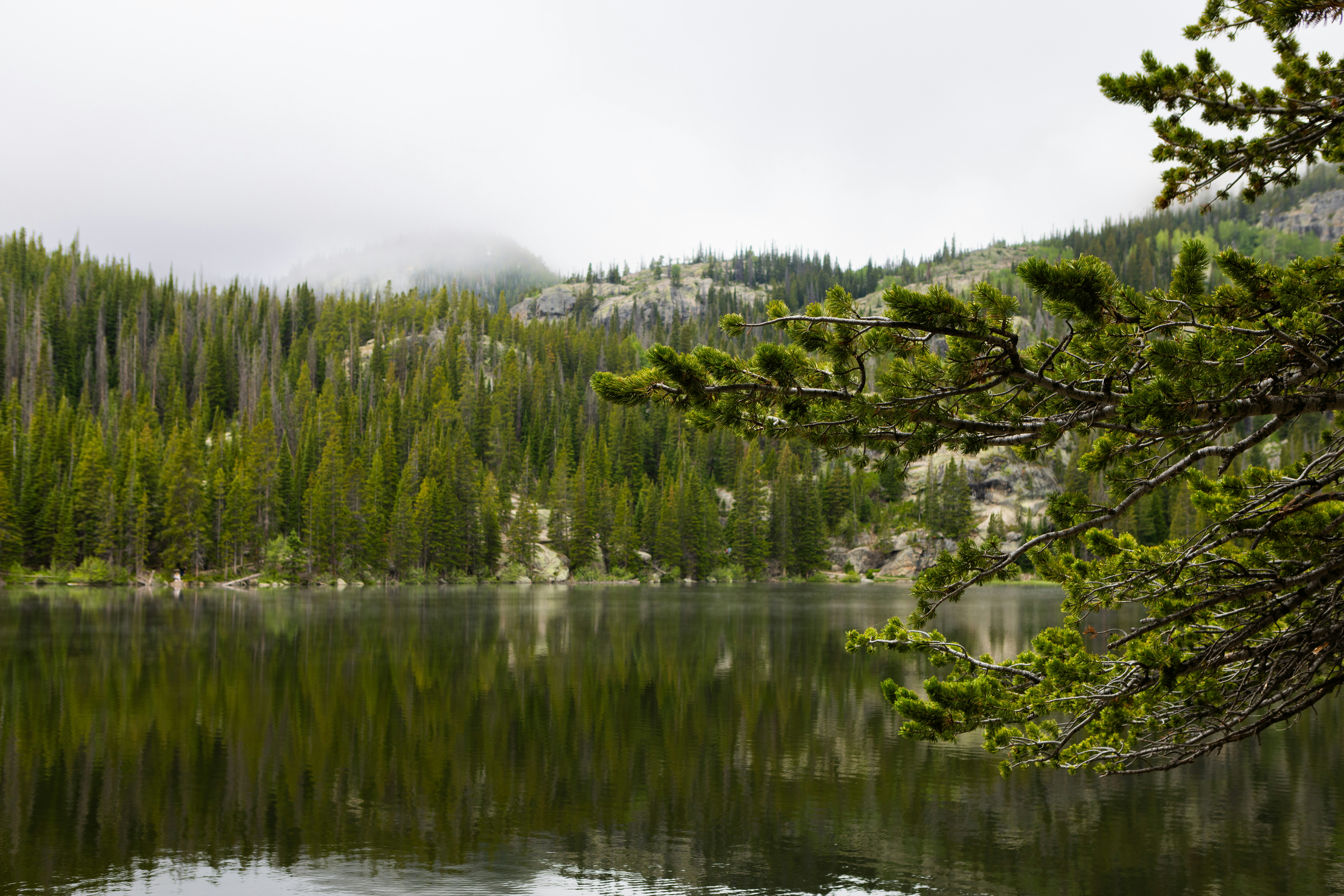 Echoes of the Pines: A Still Lake Between Summit and Sky