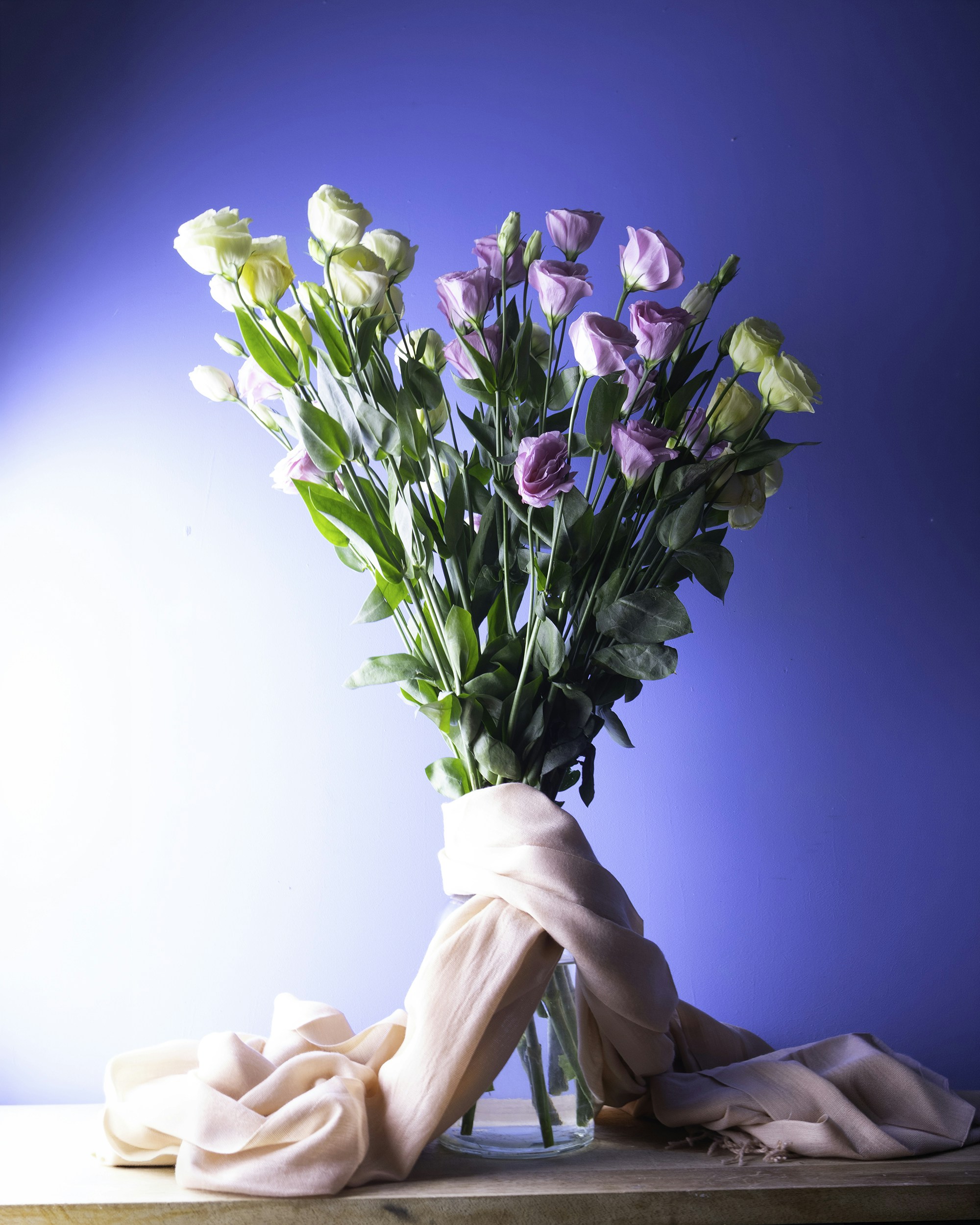 Bouquet in bloom: pastel petals against a cobalt glow